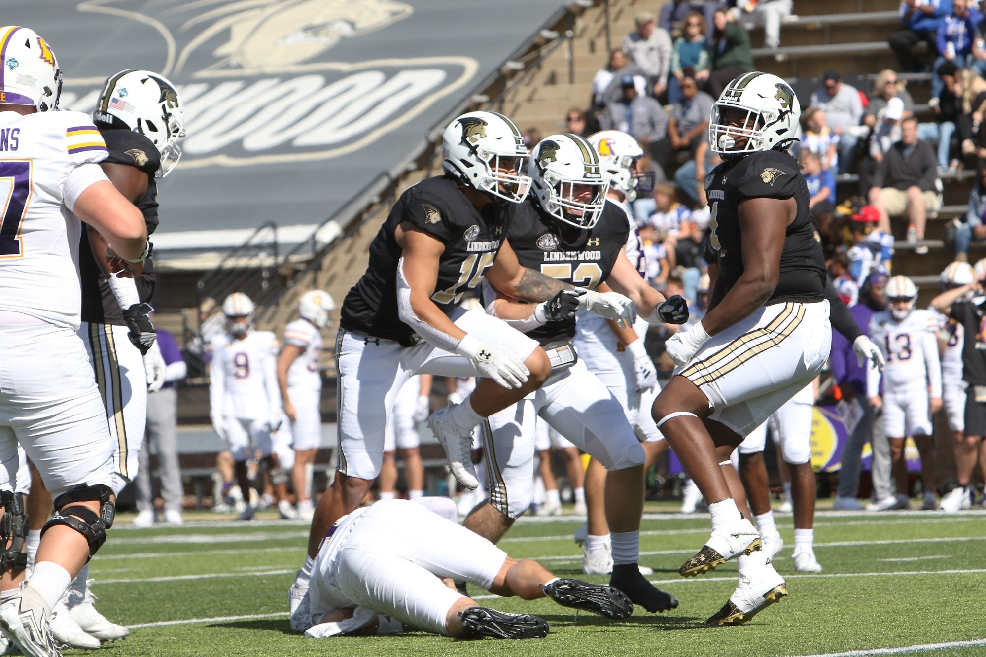 Sanjay Strickland - Football - Lindenwood University Athletics