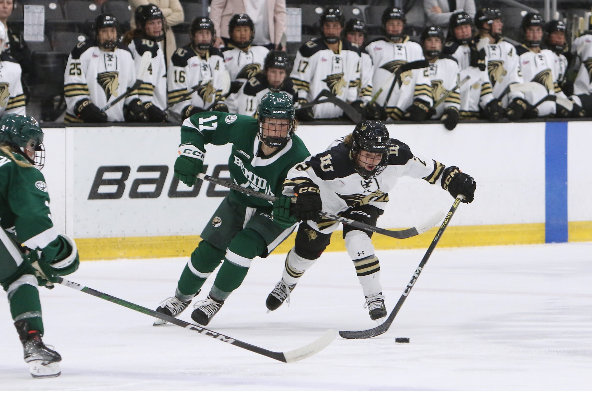 Rachel Goff - Women's Ice Hockey - Lindenwood University Athletics
