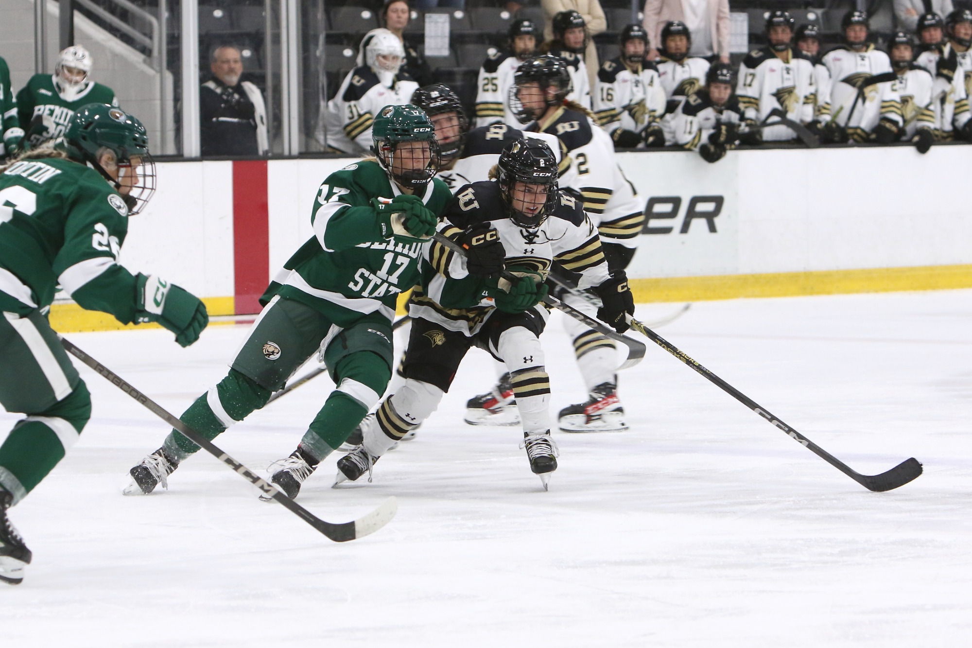 Rachel Goff - Women's Ice Hockey - Lindenwood University Athletics