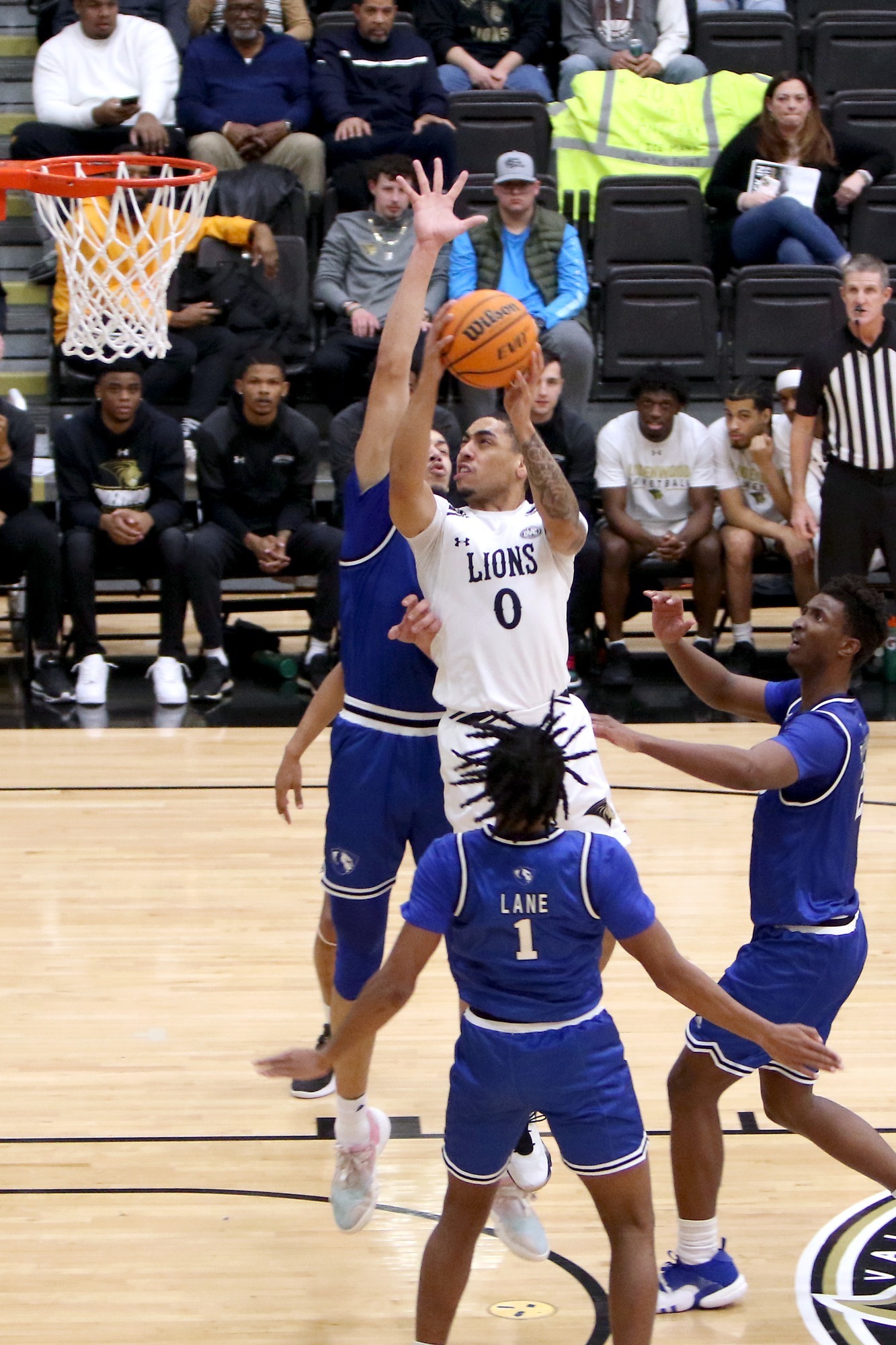 David Ware - Men's Basketball - Lindenwood University Athletics