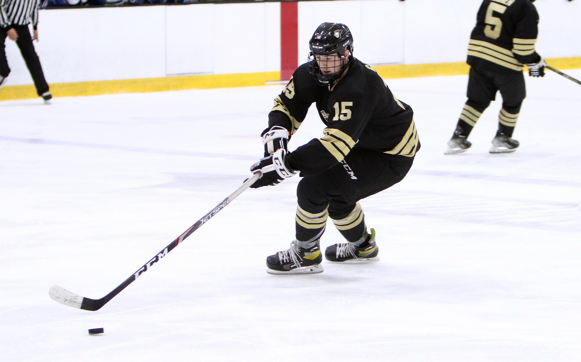 Declan Carter - Men's Ice Hockey - ACHA DII - Lindenwood University ...
