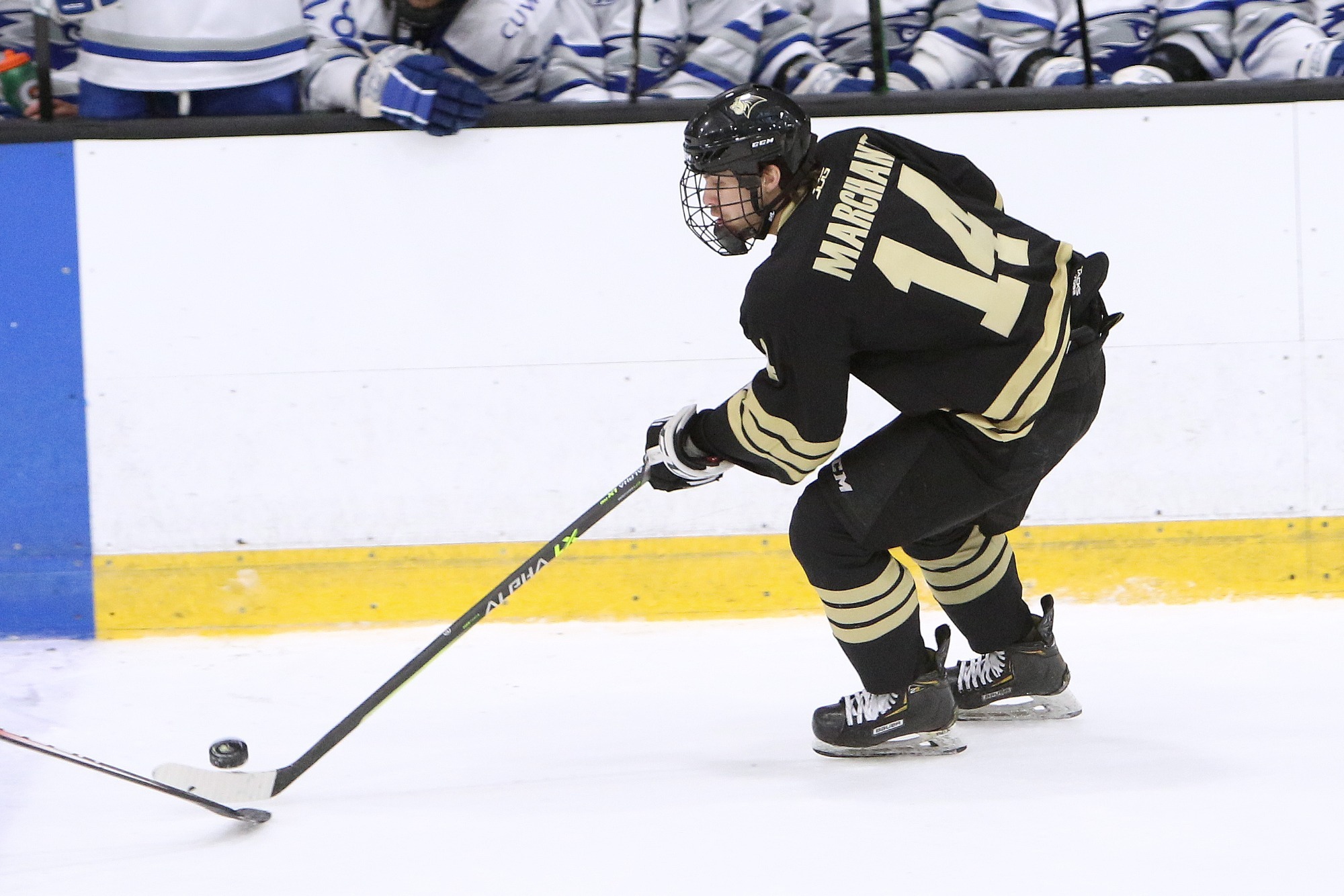 Tim Marchant - Men's Ice Hockey - ACHA DII - Lindenwood University ...