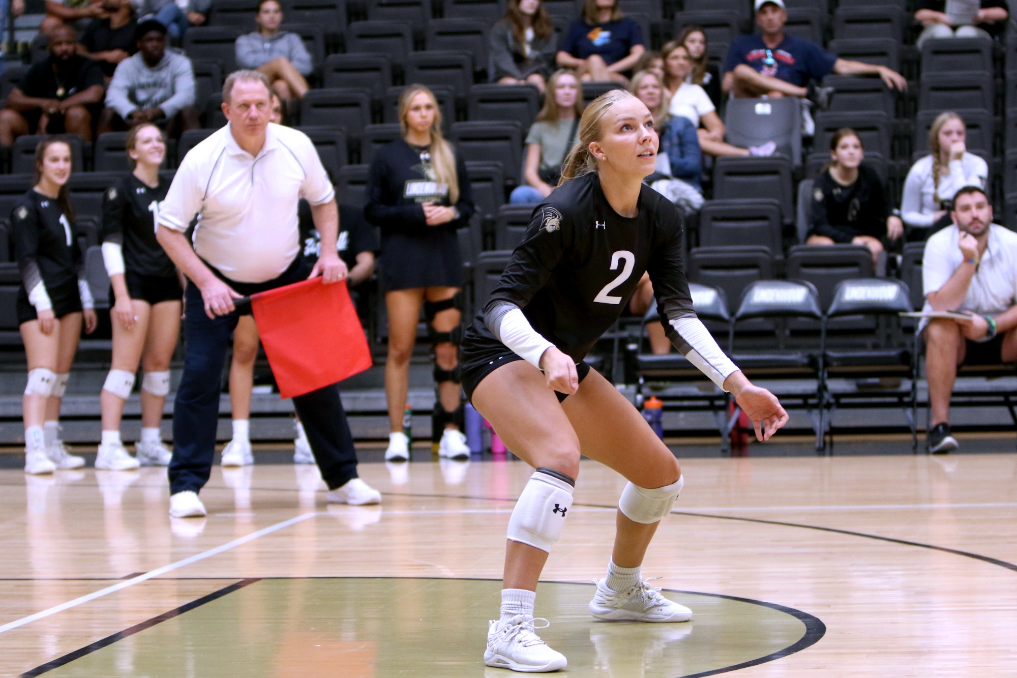 Lions Volleyball Loses 3-1 Against UT Martin - Lindenwood University ...