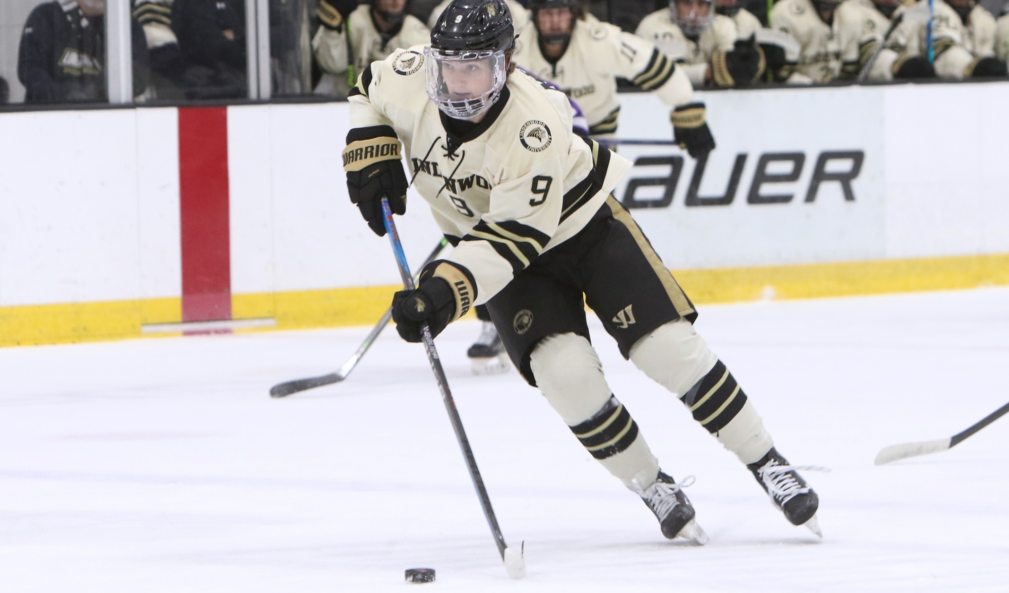 Austin Meers - Men's Ice Hockey - ACHA DII - Lindenwood University ...