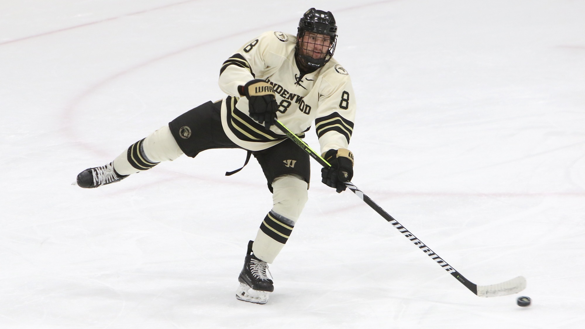 Men’s ACHA D2 Hockey Ranked No. 1 in First Regional Ranking ...