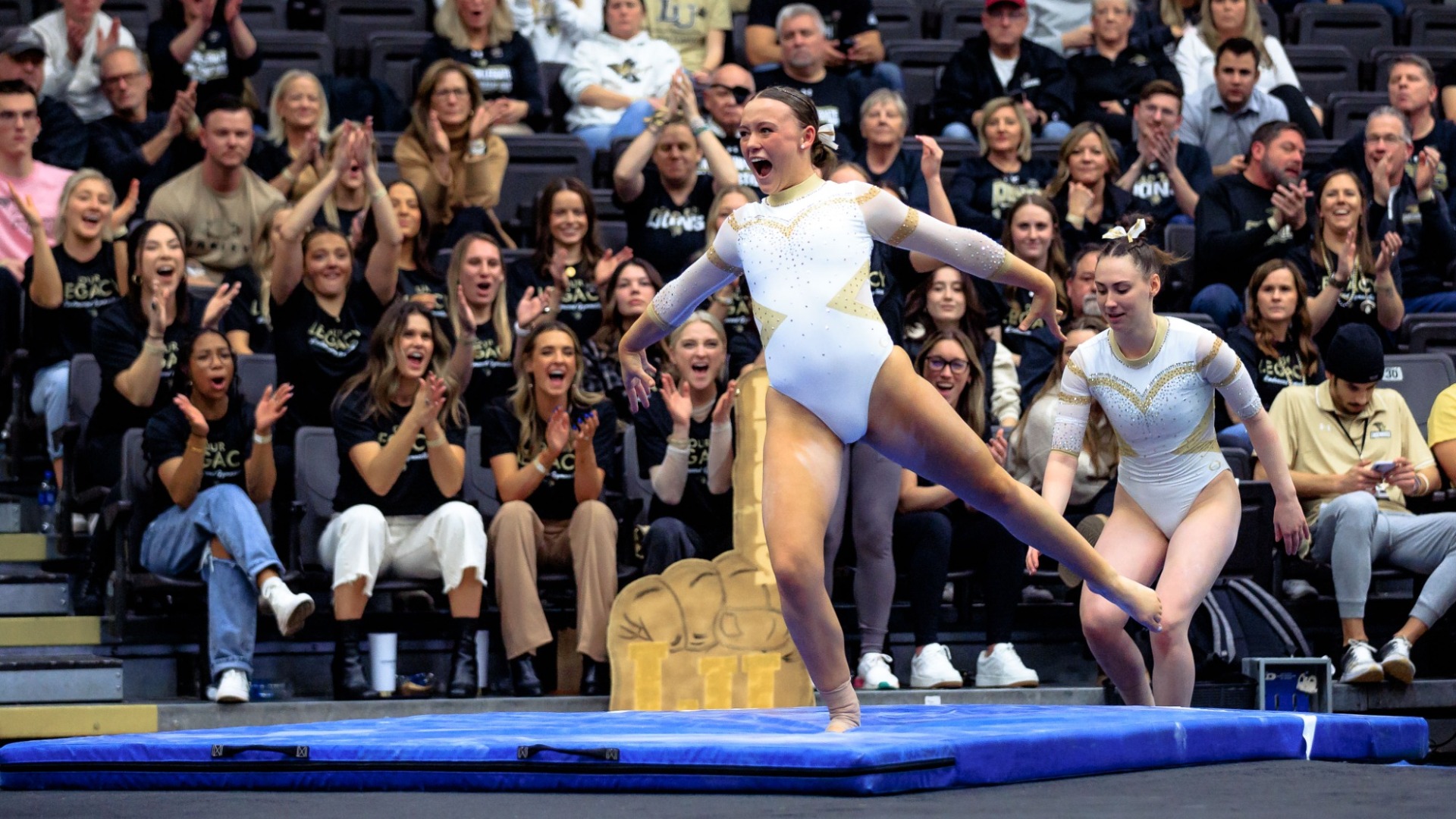 Reese Baechle - Women's Gymnastics - Lindenwood University Athletics