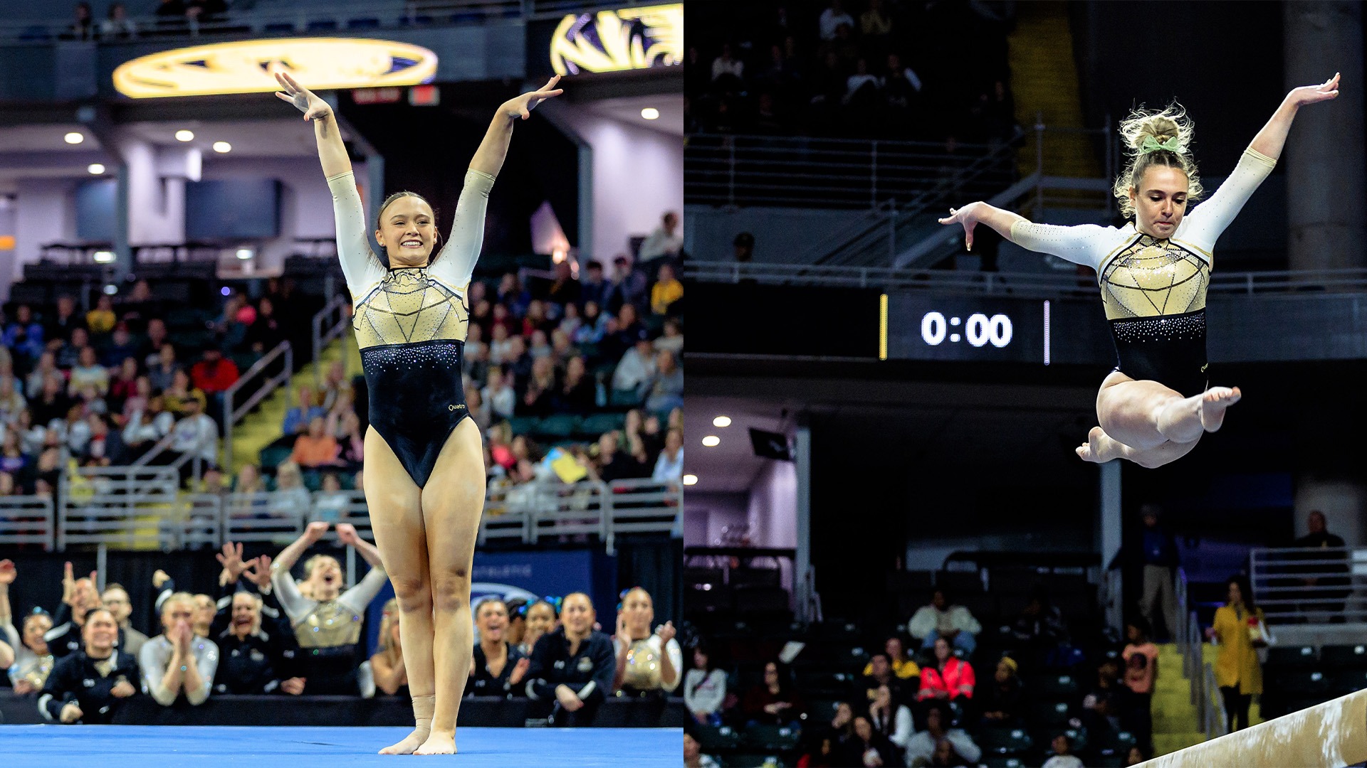 Reese Baechle - Women's Gymnastics - Lindenwood University Athletics