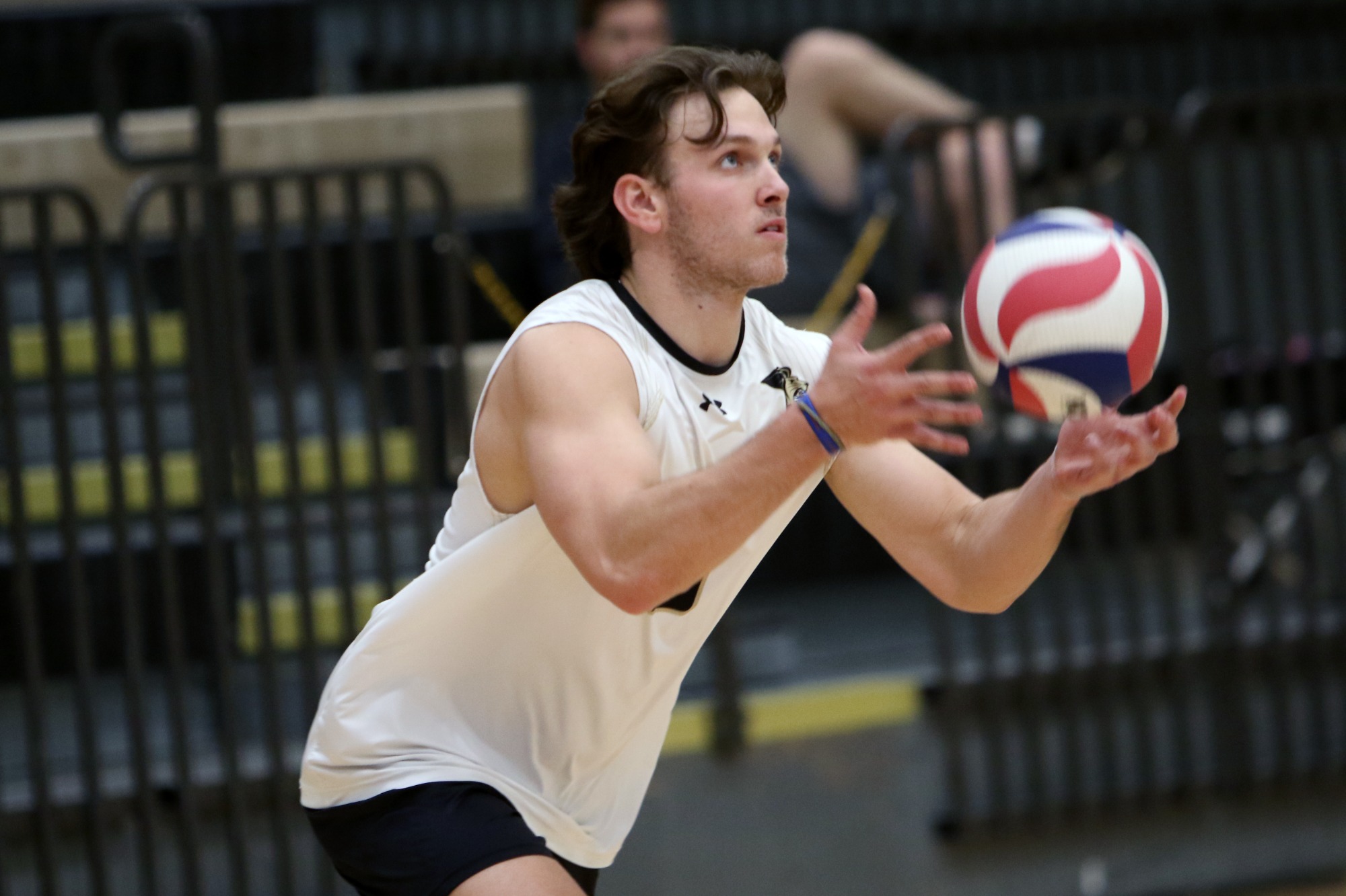 Connor Sheehan - Men's Volleyball - Lindenwood University Athletics