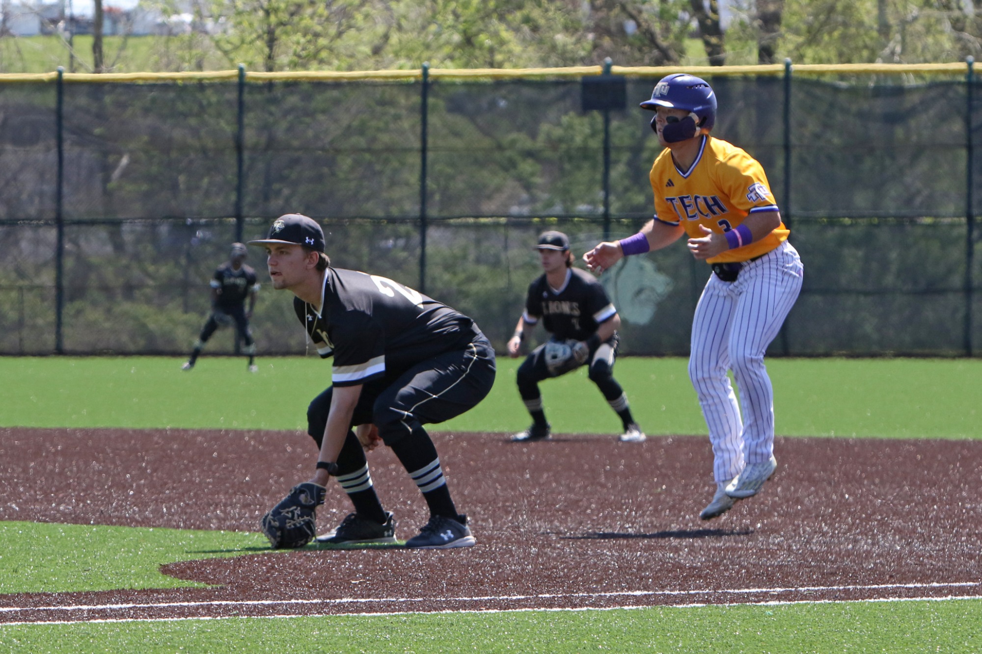 Baseball Announces 2025 Schedule - Lindenwood University Athletics