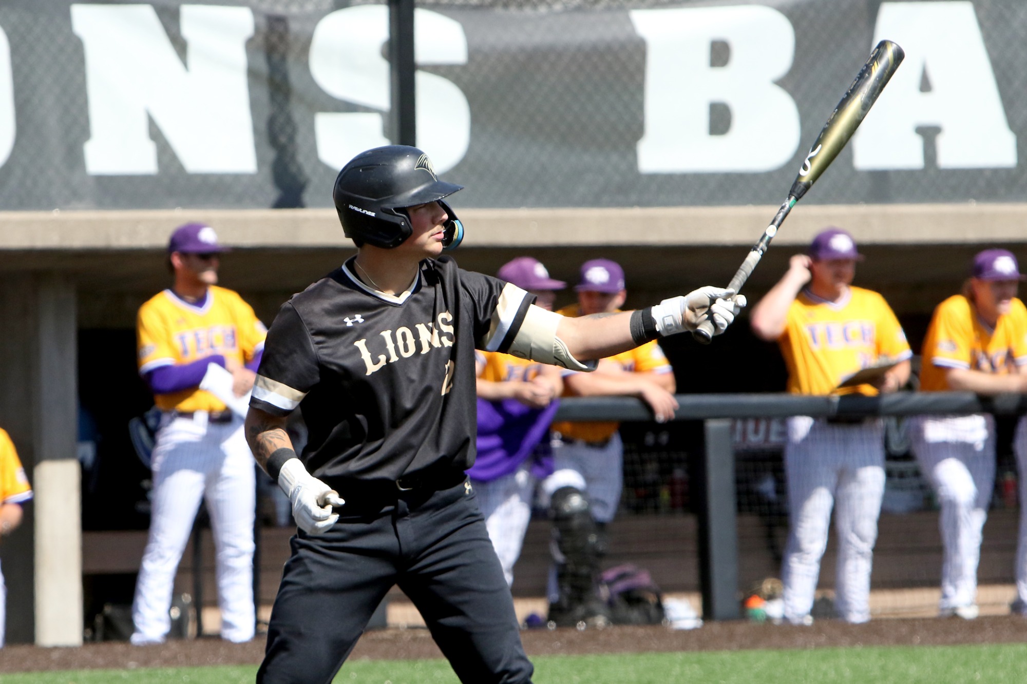 Tyson Ludwig - Baseball - Lindenwood University Athletics