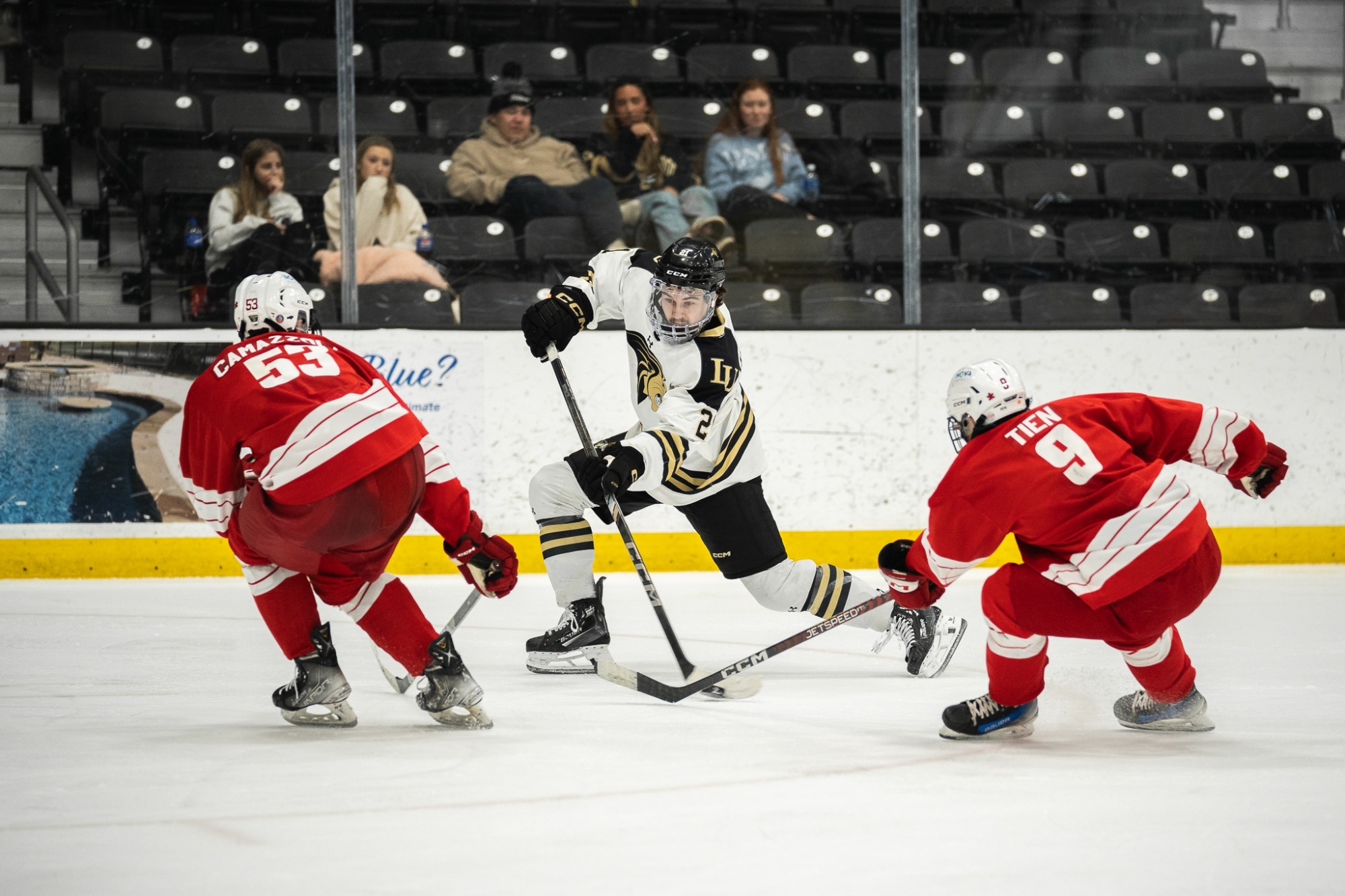 Men's Ice Hockey Releases 2024-25 Schedule - Lindenwood University ...