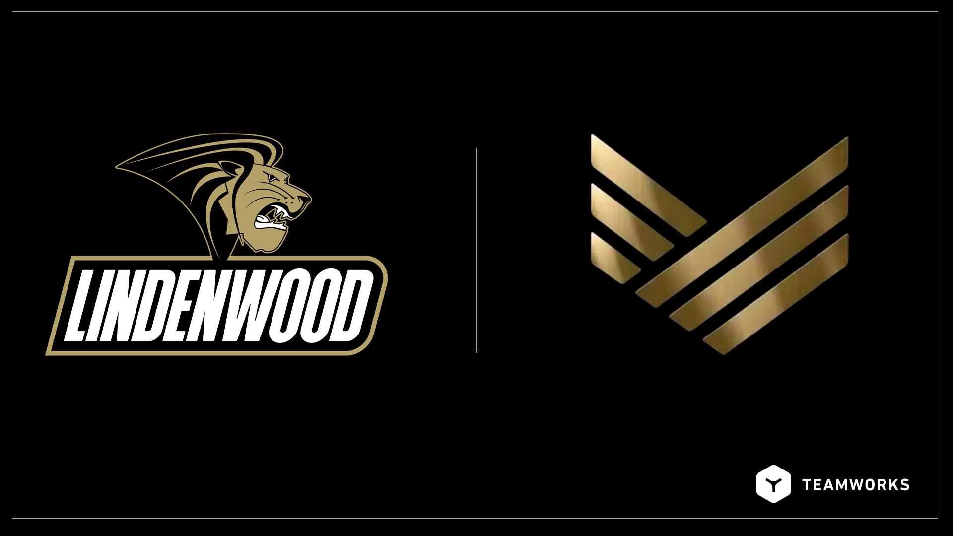 Lindenwood Selects Teamworks General Manager for Revenue Sharing ...
