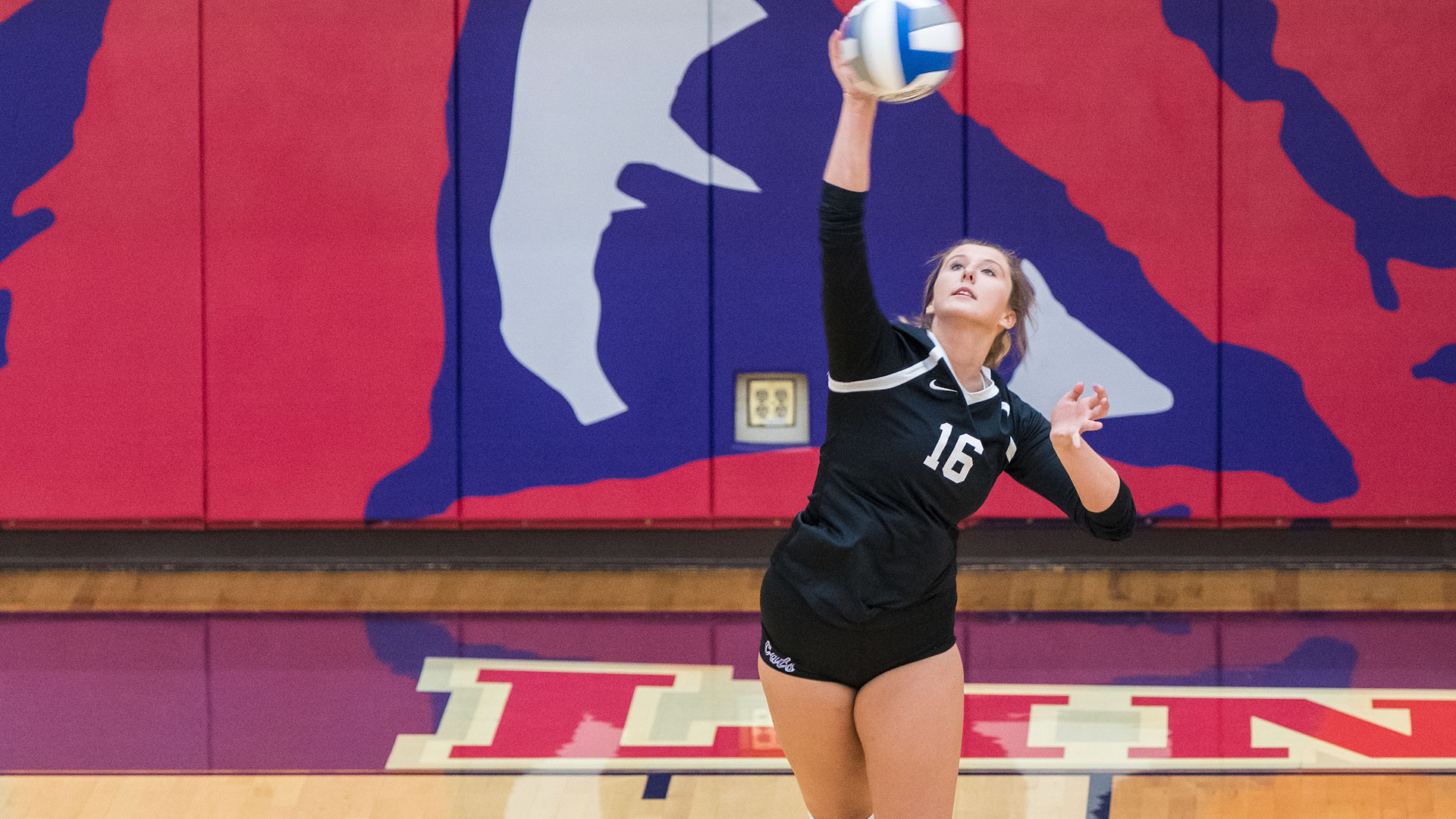 Mattie Kelly - Volleyball - Linfield University Athletics