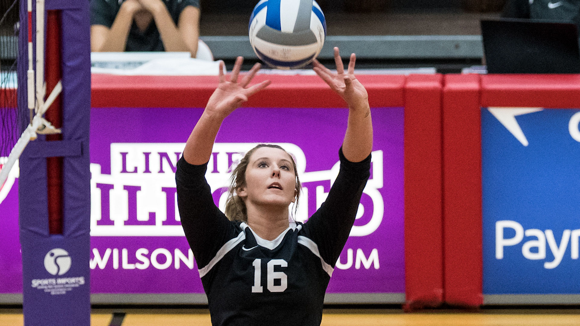 Mattie Kelly - Volleyball - Linfield University Athletics