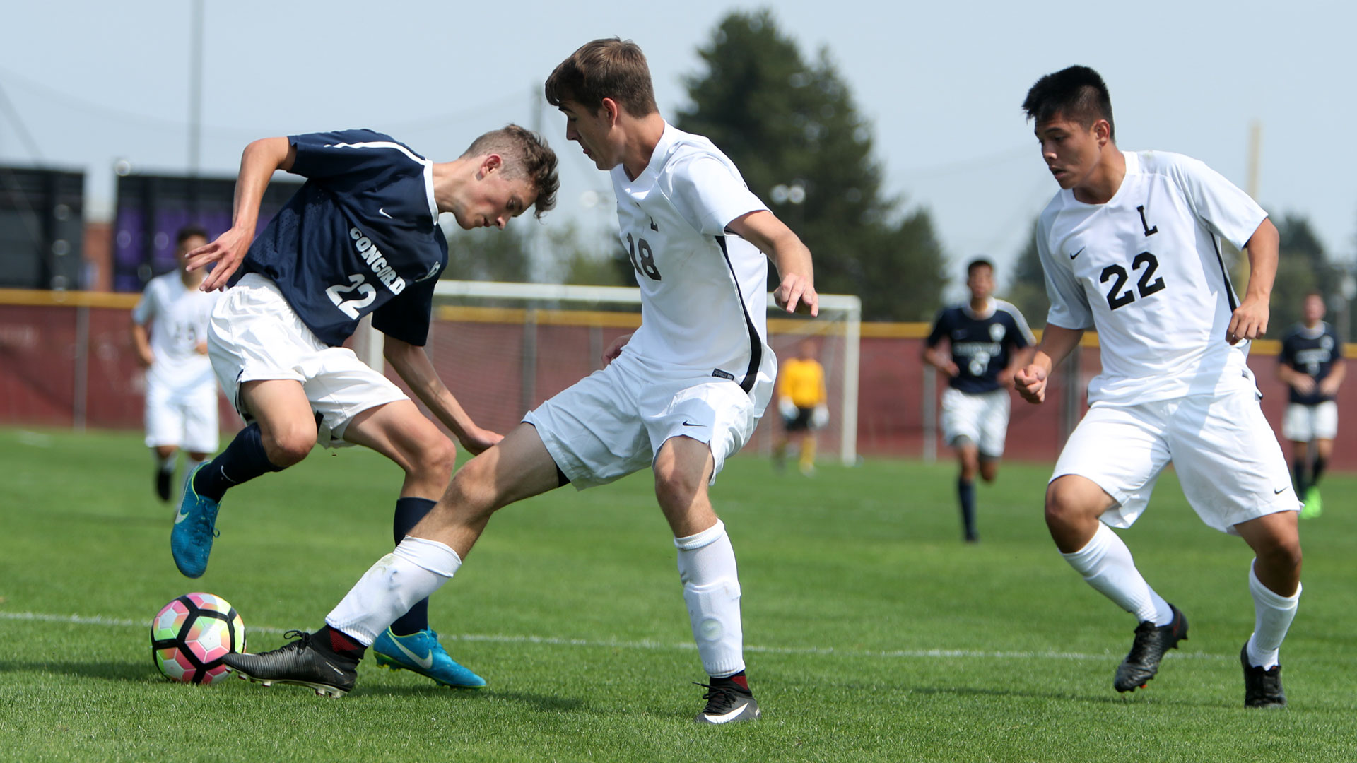 Luke Marks - Men's Soccer - Linfield University Athletics