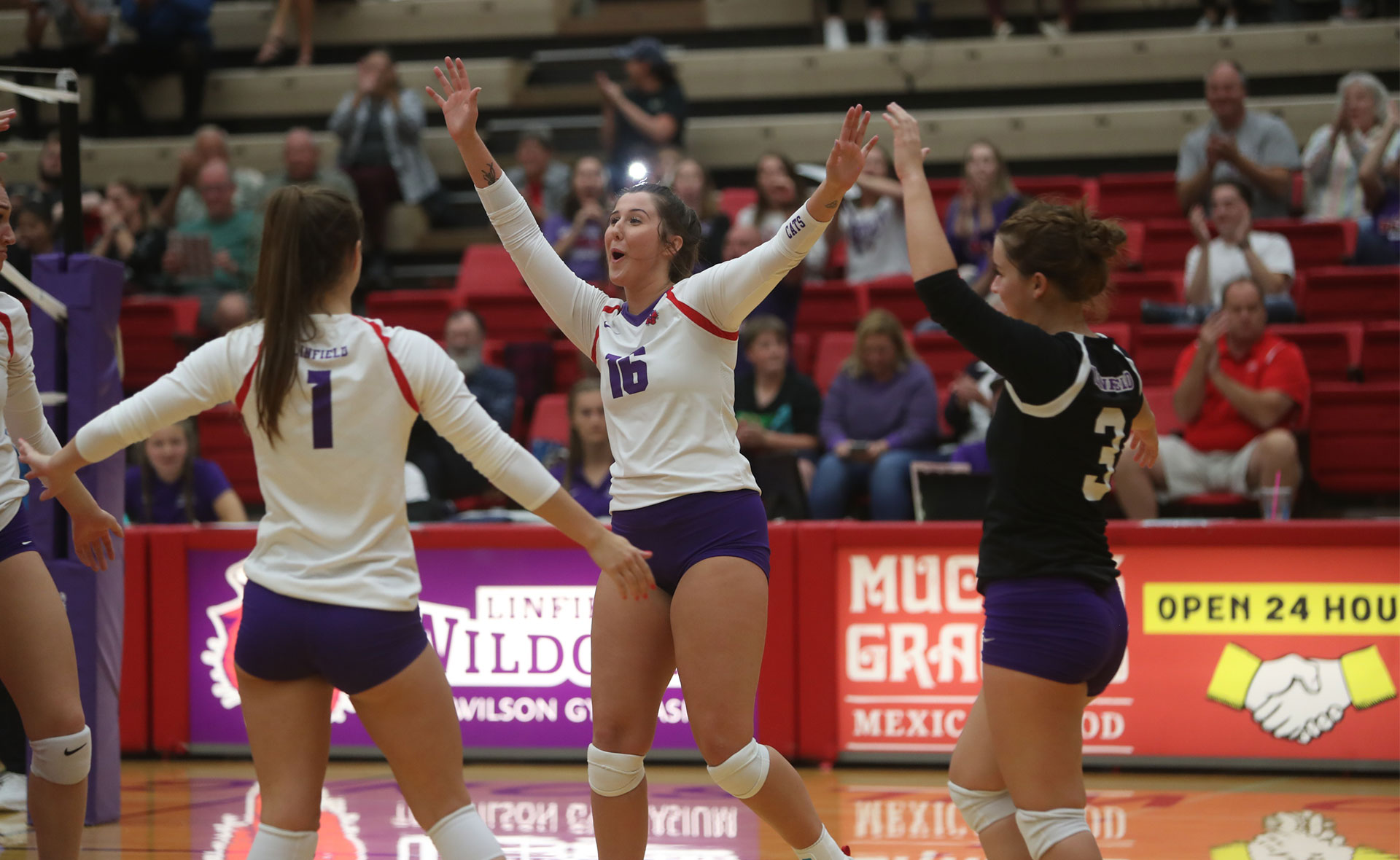 Mattie Kelly - Volleyball - Linfield University Athletics