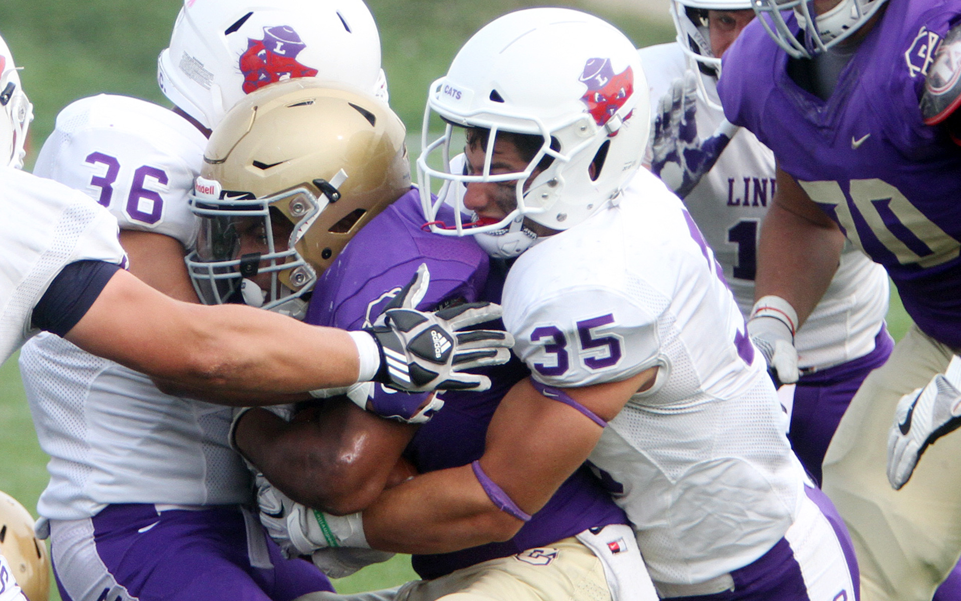 Patrick Pipitone - Football - Linfield University Athletics