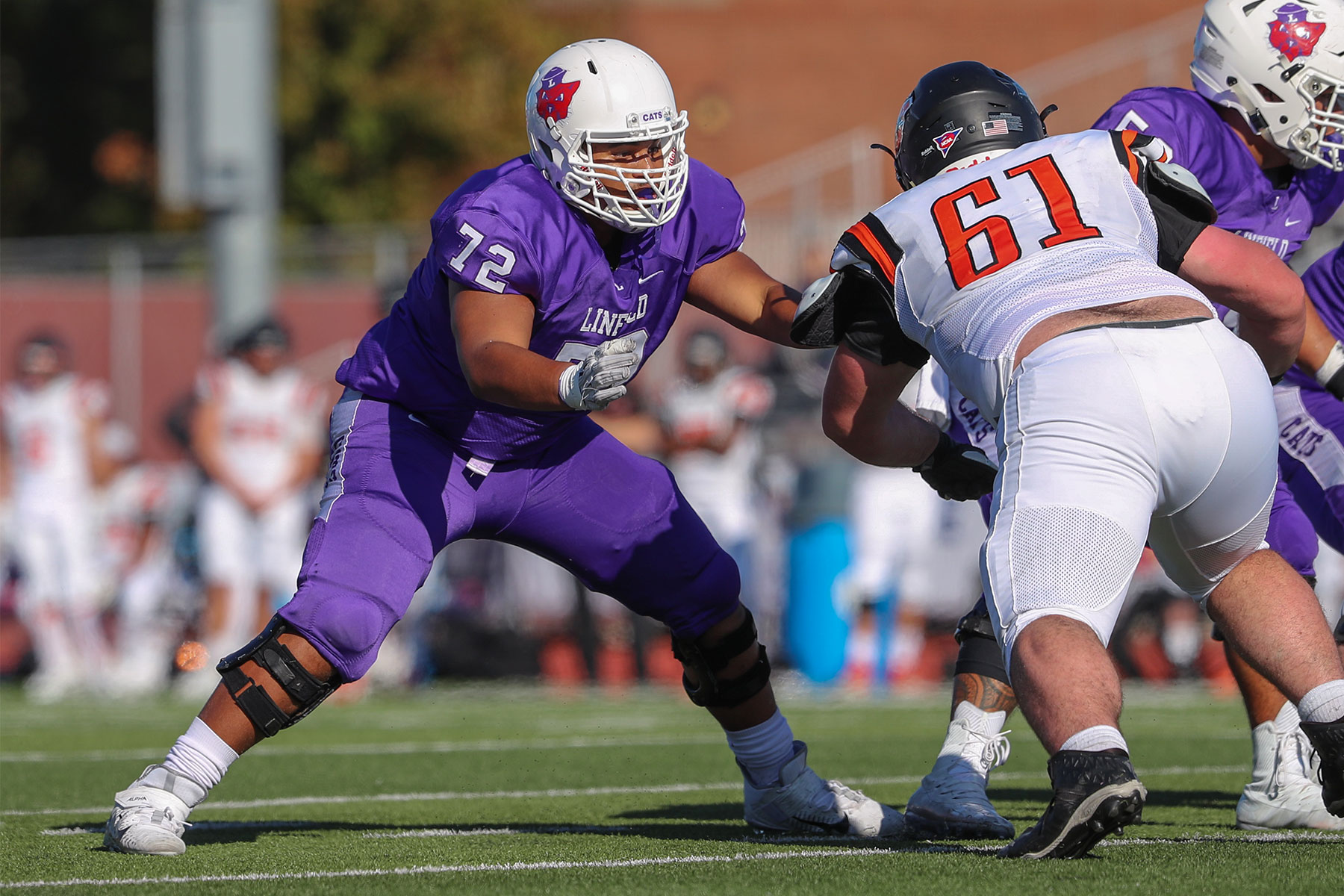 Julien Sears - Football - Linfield University Athletics