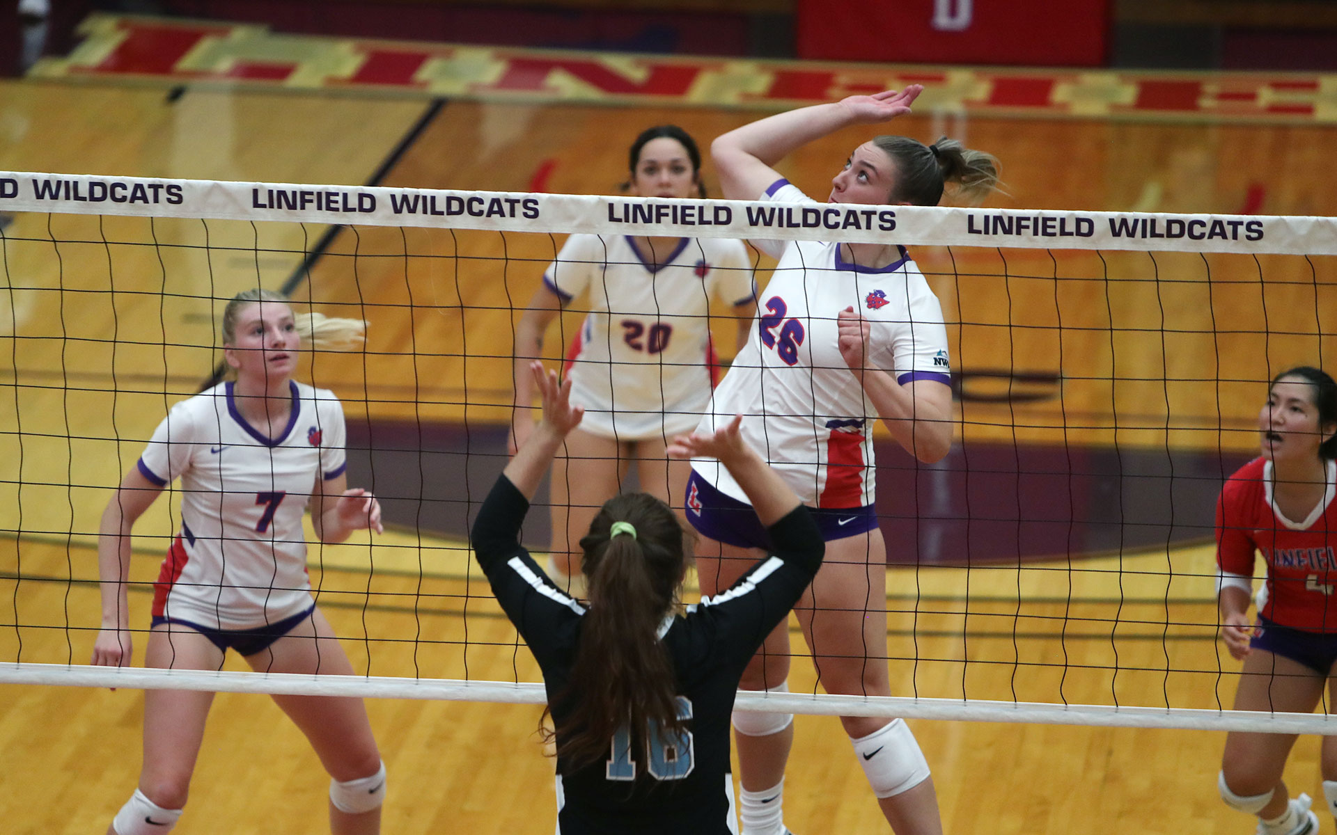 Ellie Mead - Volleyball - Linfield University Athletics