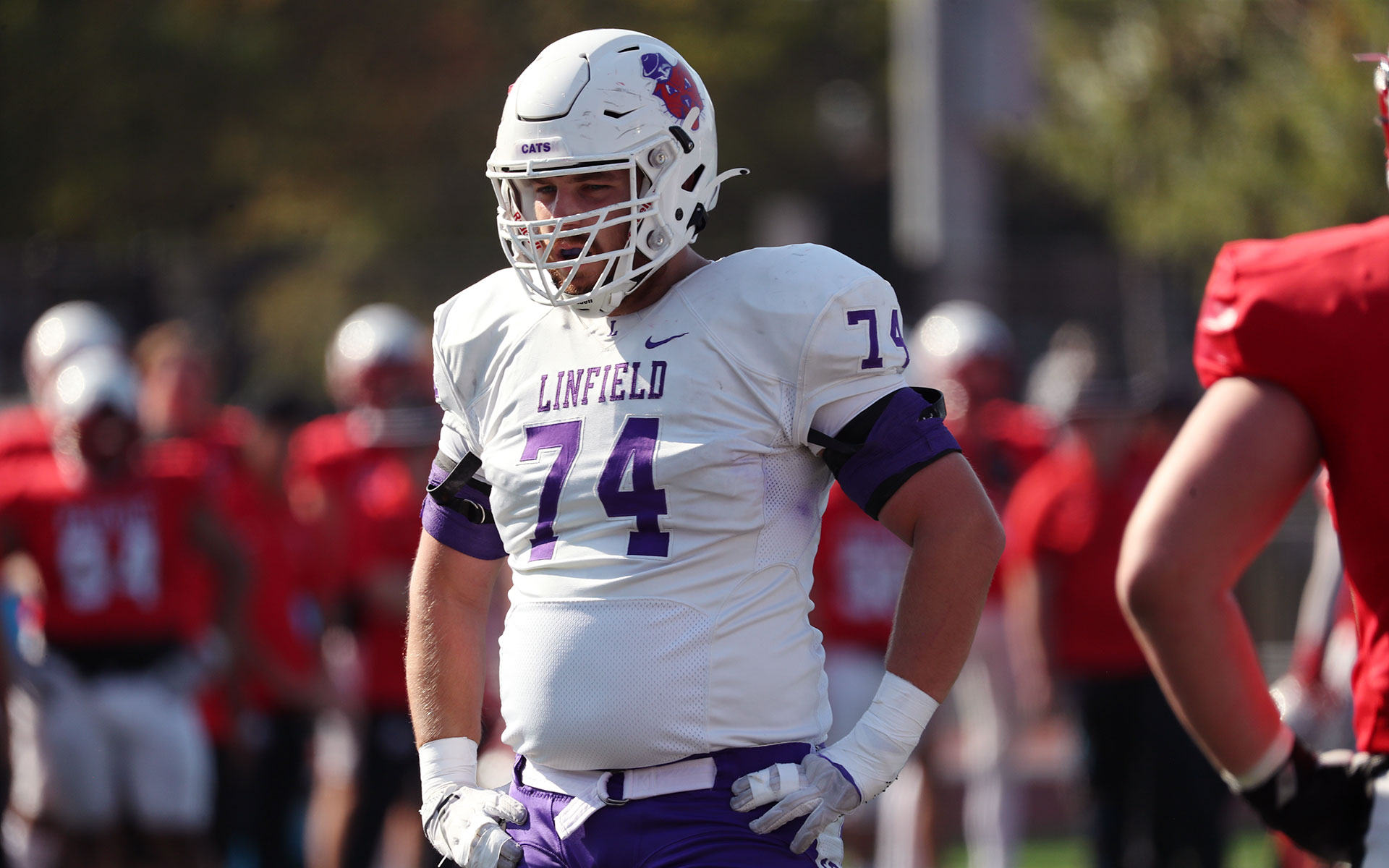 Taylor Adams - Football - Linfield University Athletics