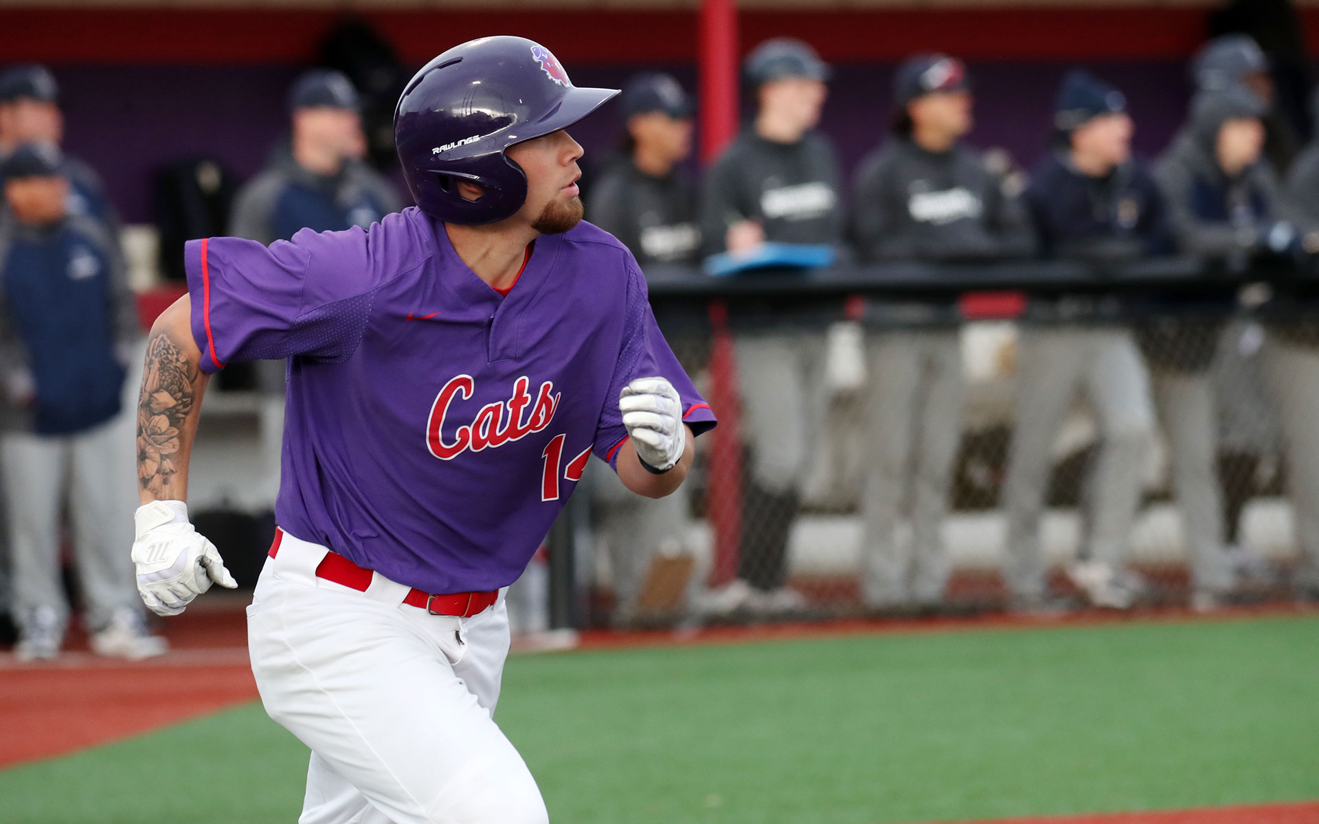 'Cats sweep twinbill with Blues to claim first NWC series - Linfield ...