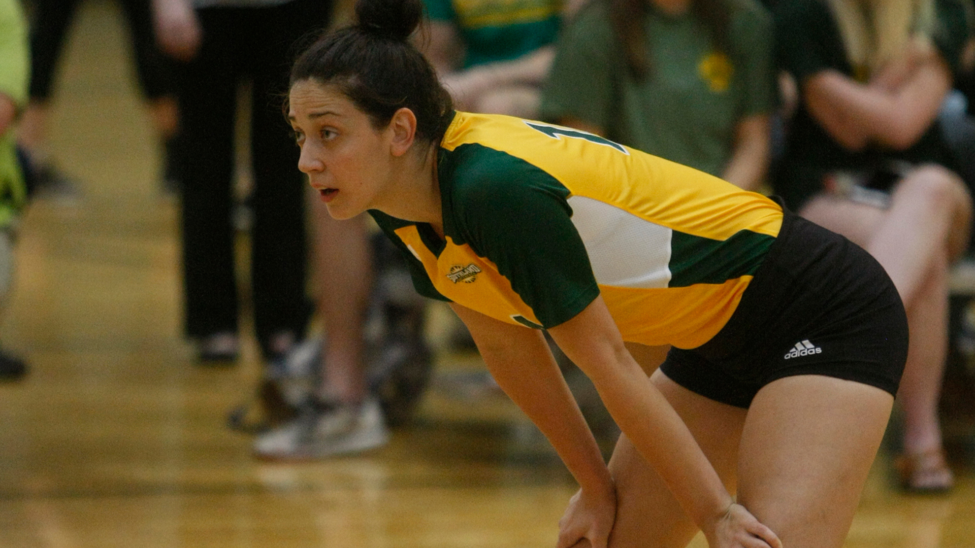 Jo Simovic - Volleyball - Southeastern Louisiana University Athletics