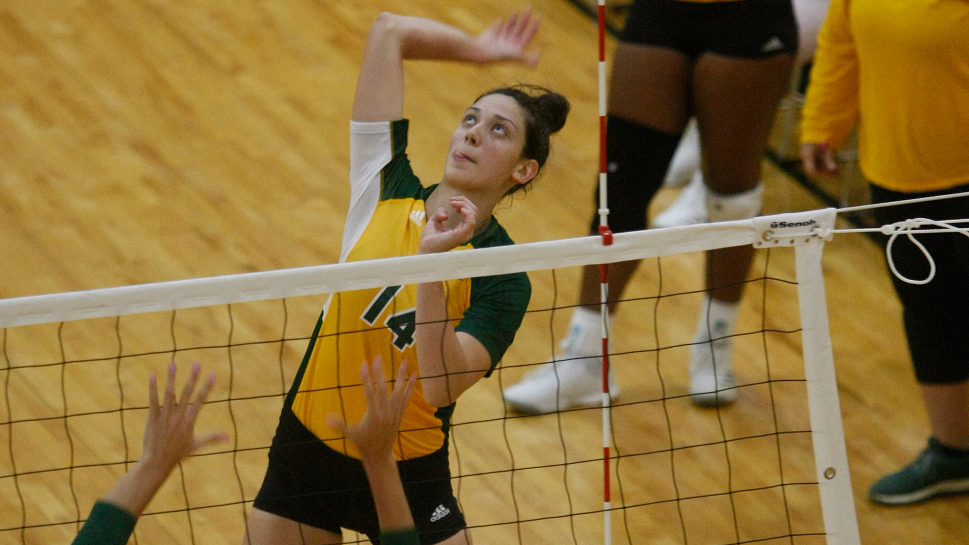 Jo Simovic - Volleyball - Southeastern Louisiana University Athletics