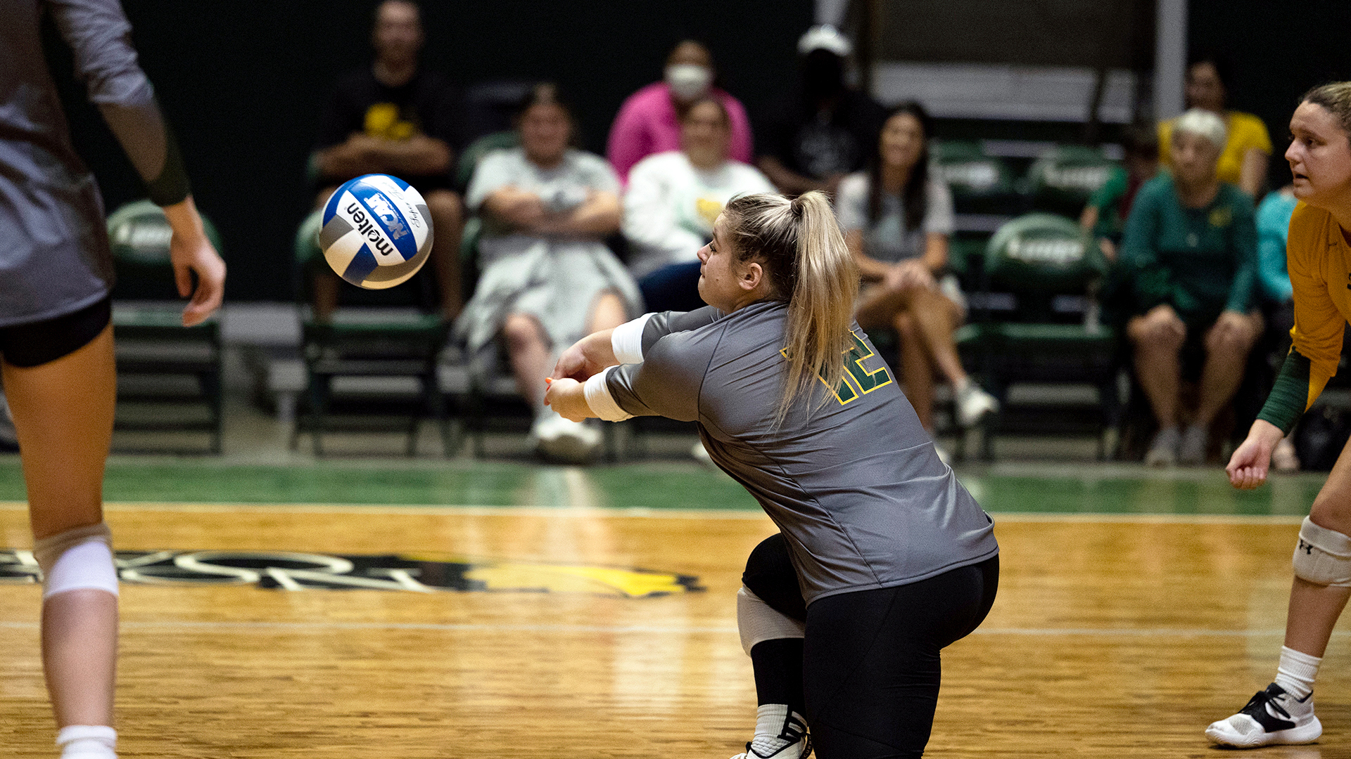 Calli Collins - Volleyball - Southeastern Louisiana University Athletics