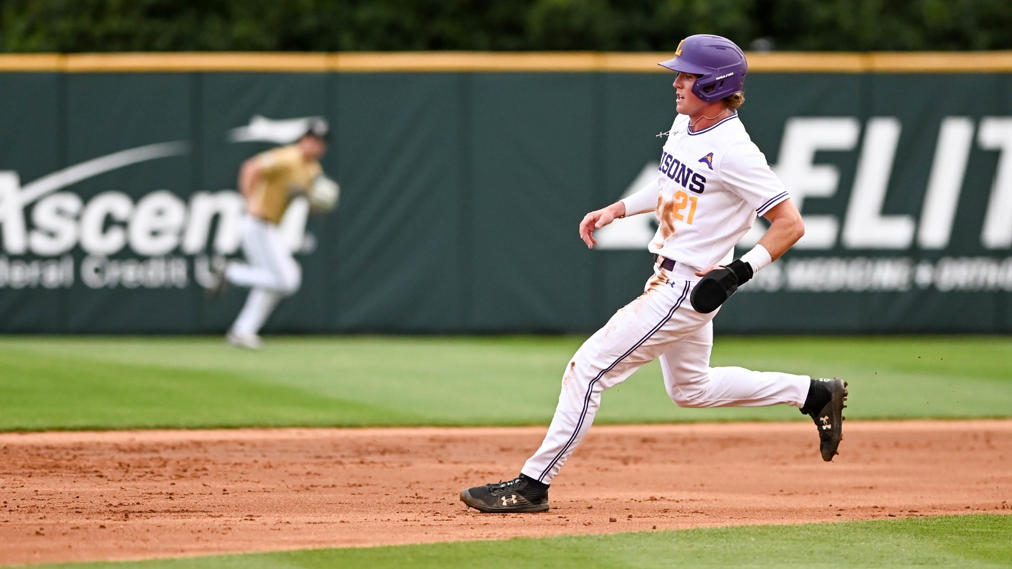 Alex Vergara - 2024 - Baseball - Lipscomb University