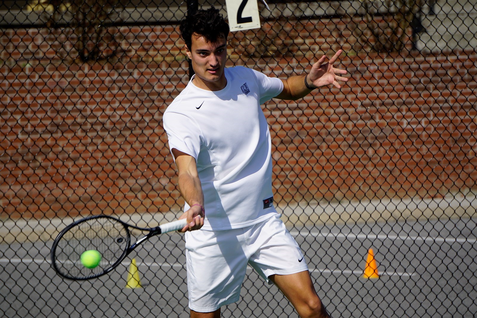 David Segarra - Men's Tennis - Lincoln Memorial University Athletics