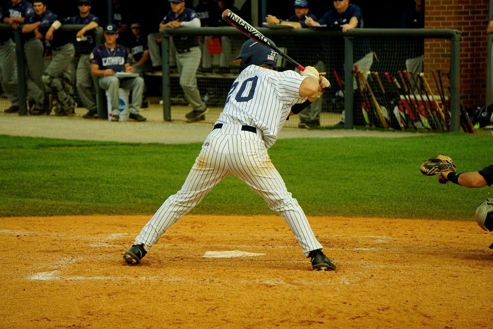 Seth Hunt - Baseball - Lincoln Memorial University Athletics