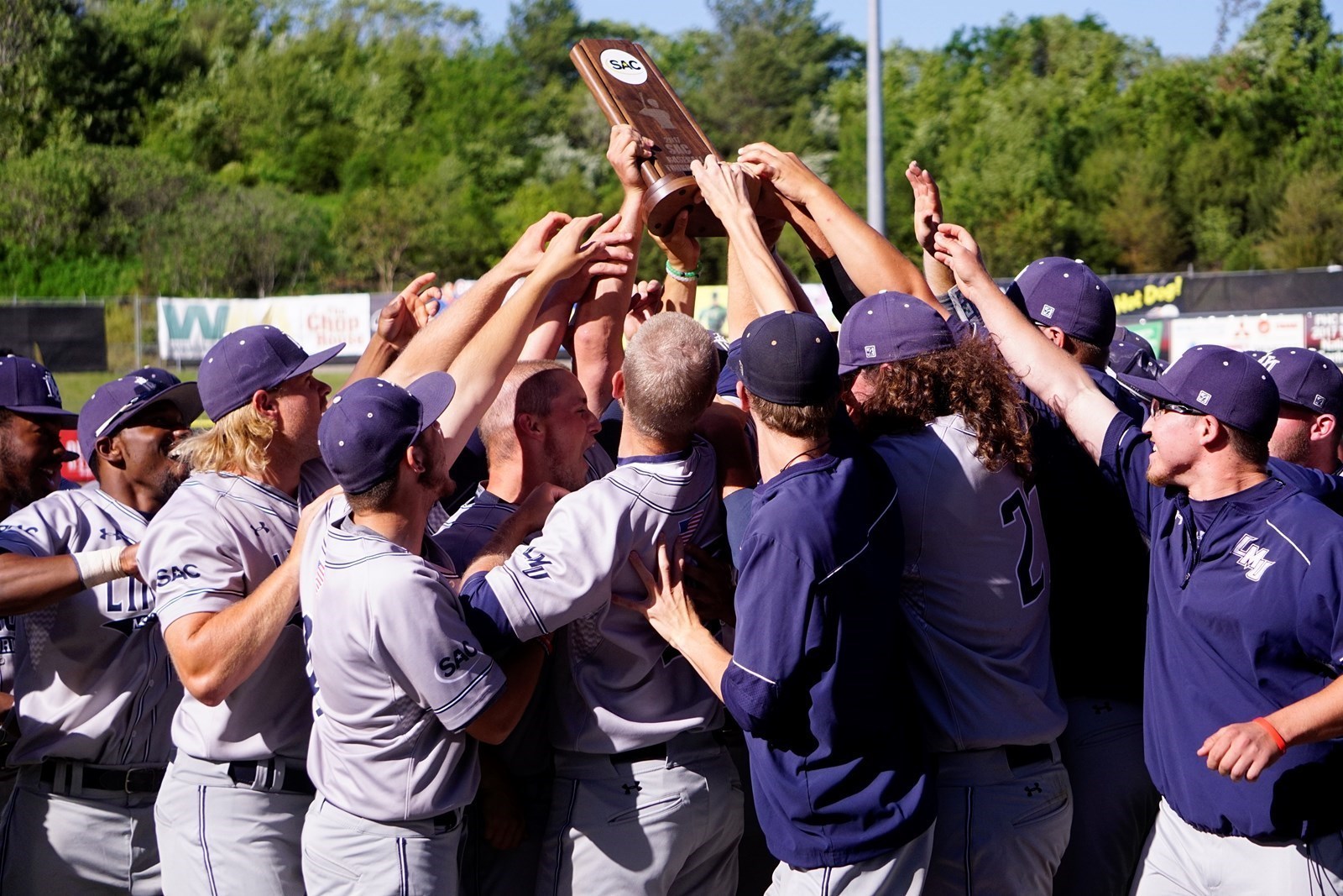 Ethan Elliott - Baseball - Lincoln Memorial University Athletics