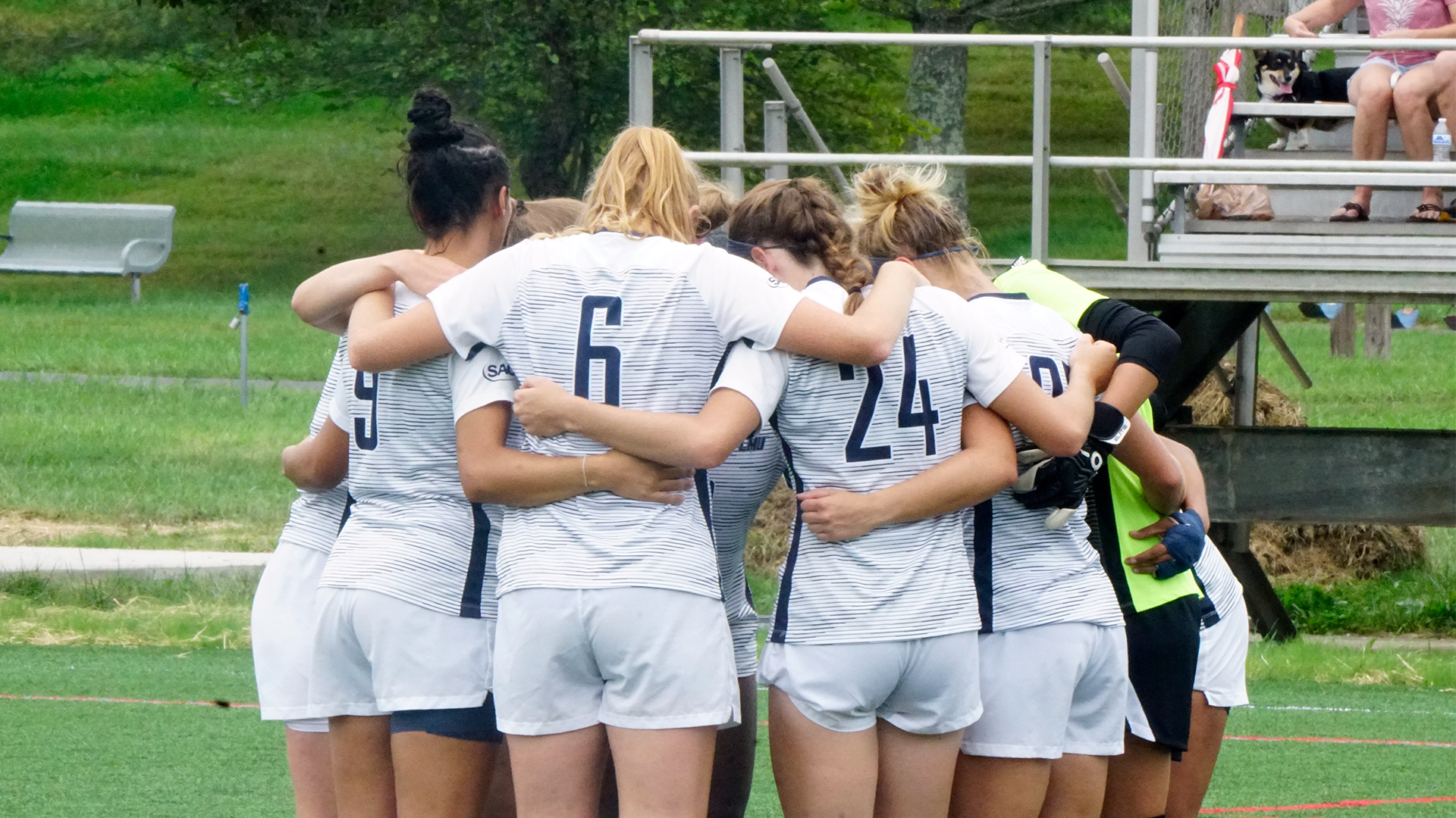 Women's Soccer Wins - Lincoln Memorial University Athletics