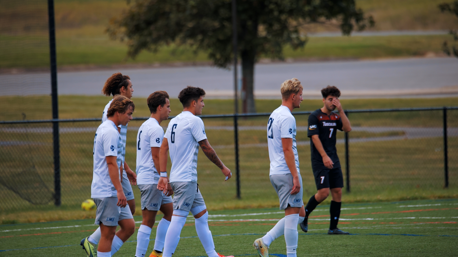 Falls to Limestone on the Road - Lincoln Memorial University Athletics