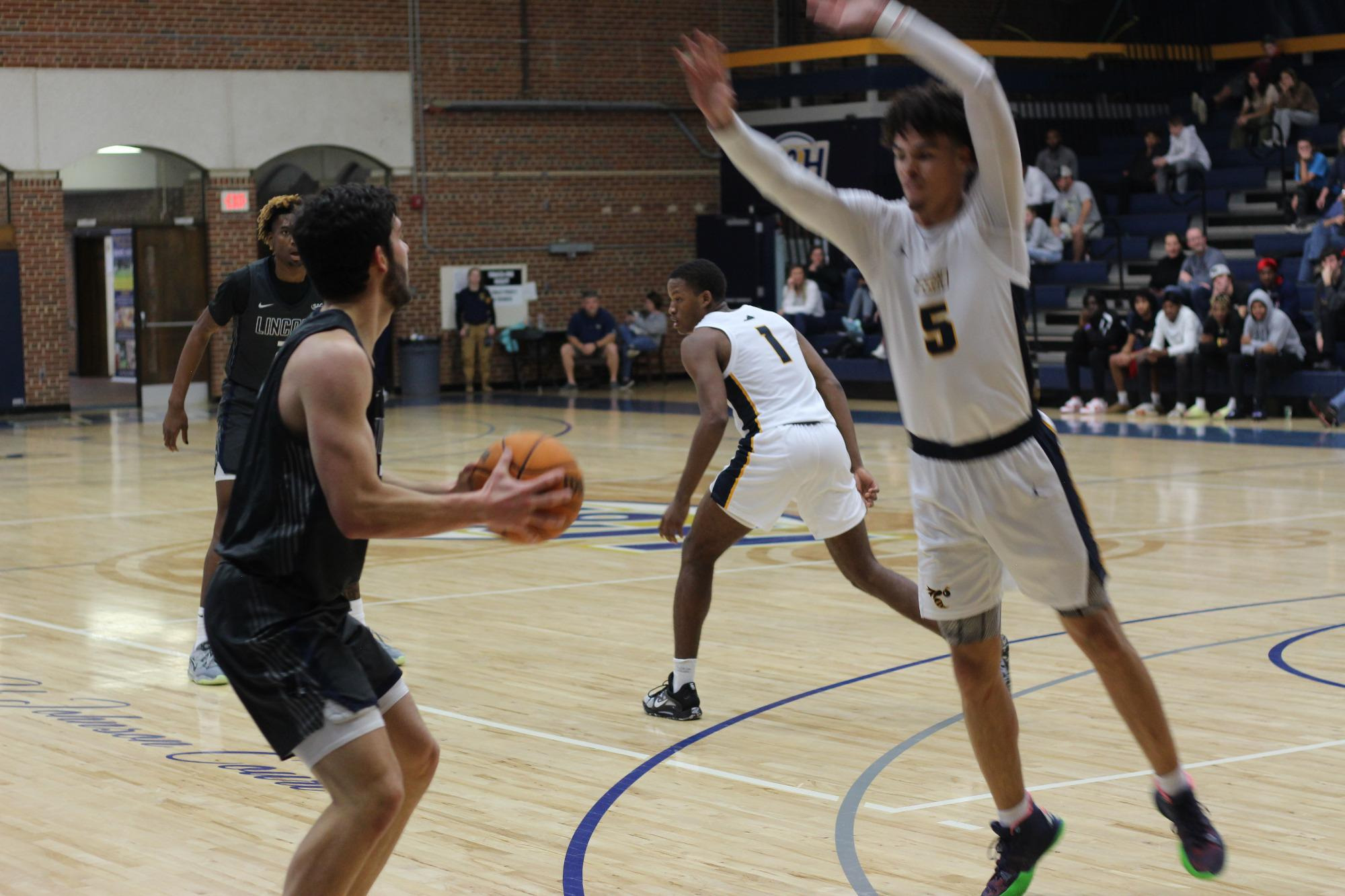 Luke Bartemes - Men's Basketball - Lincoln Memorial University Athletics