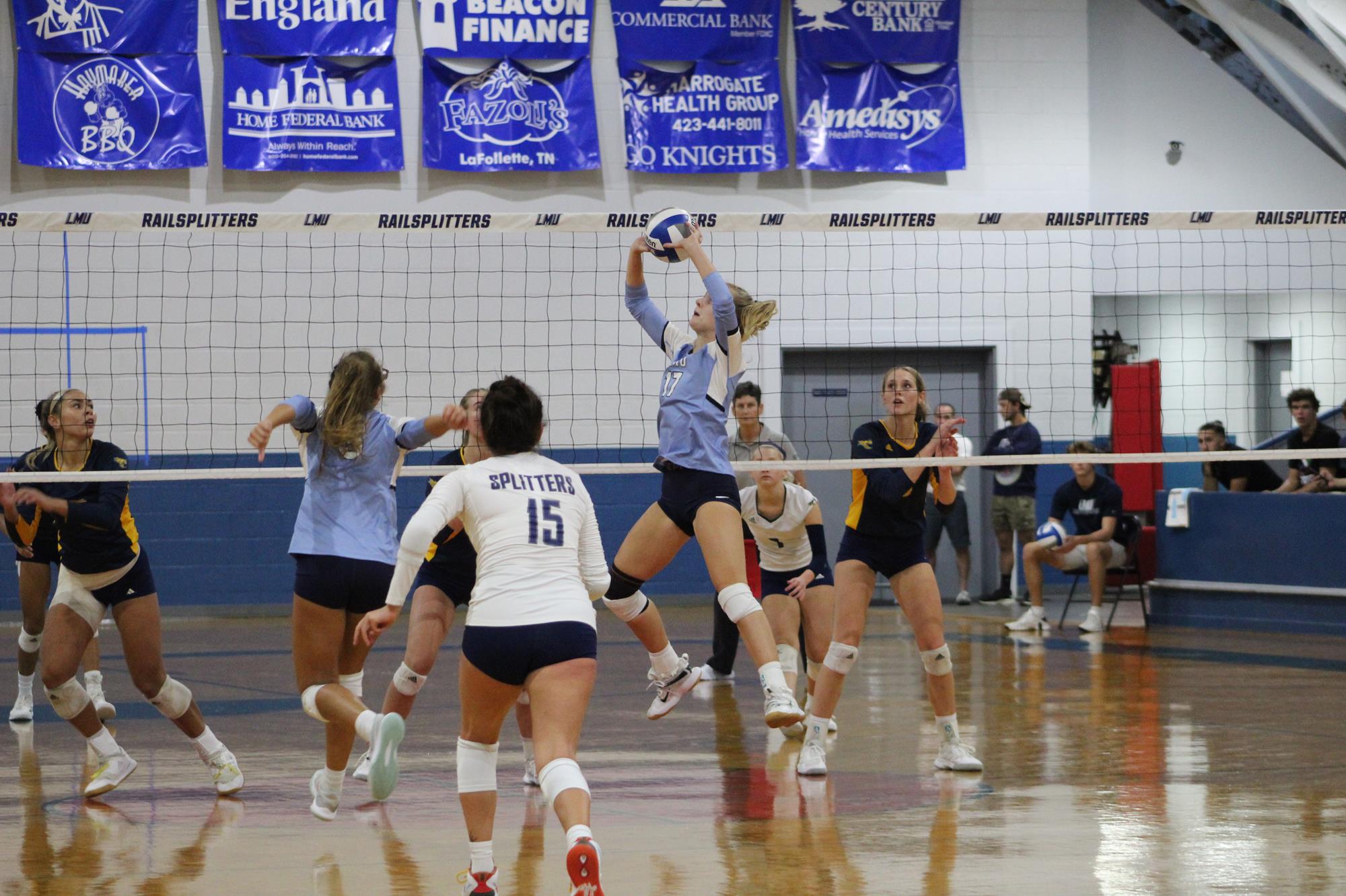 Amanda Lisi - Women's Volleyball - Lincoln Memorial University Athletics