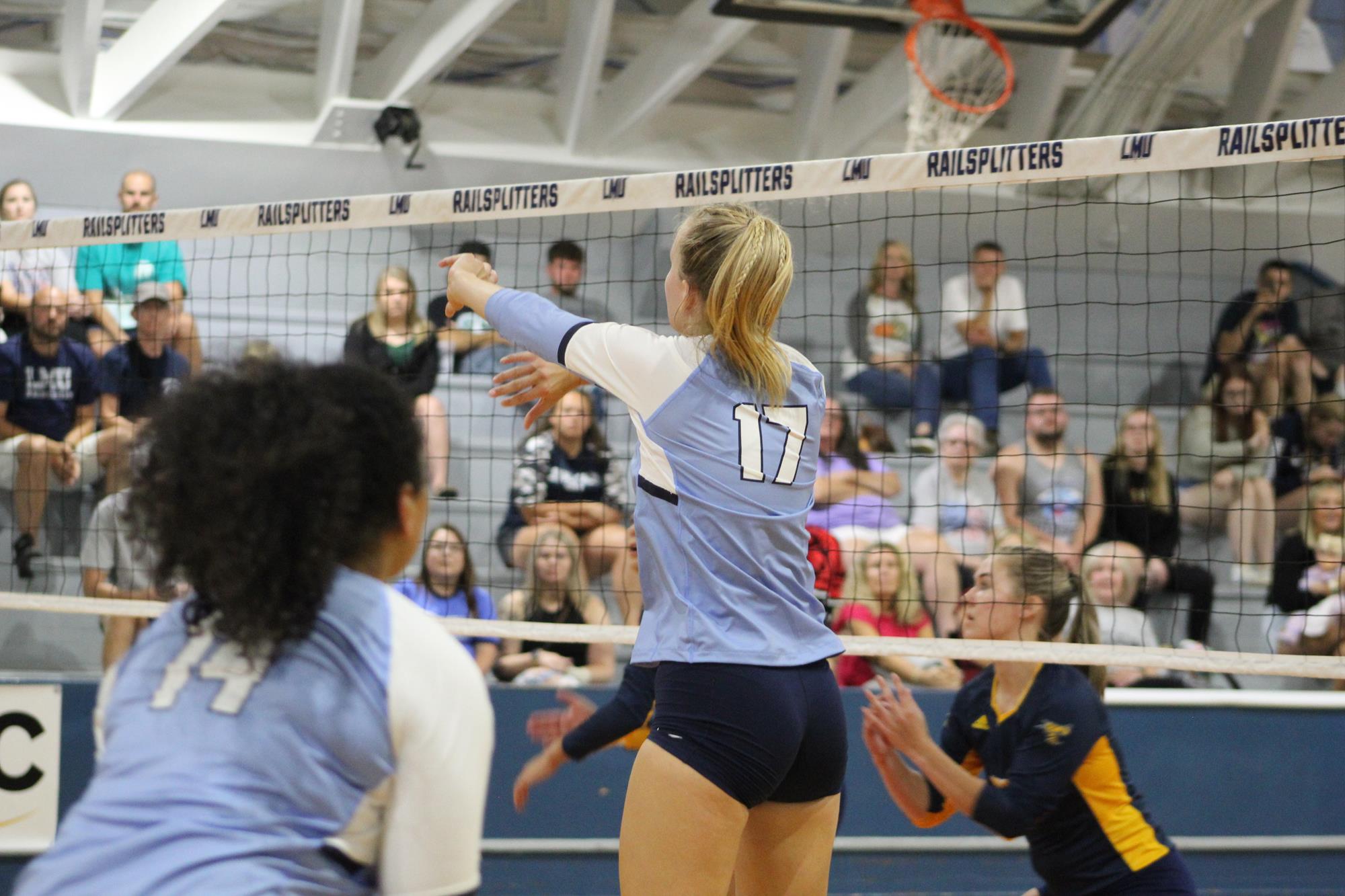 Amanda Lisi - Women's Volleyball - Lincoln Memorial University Athletics