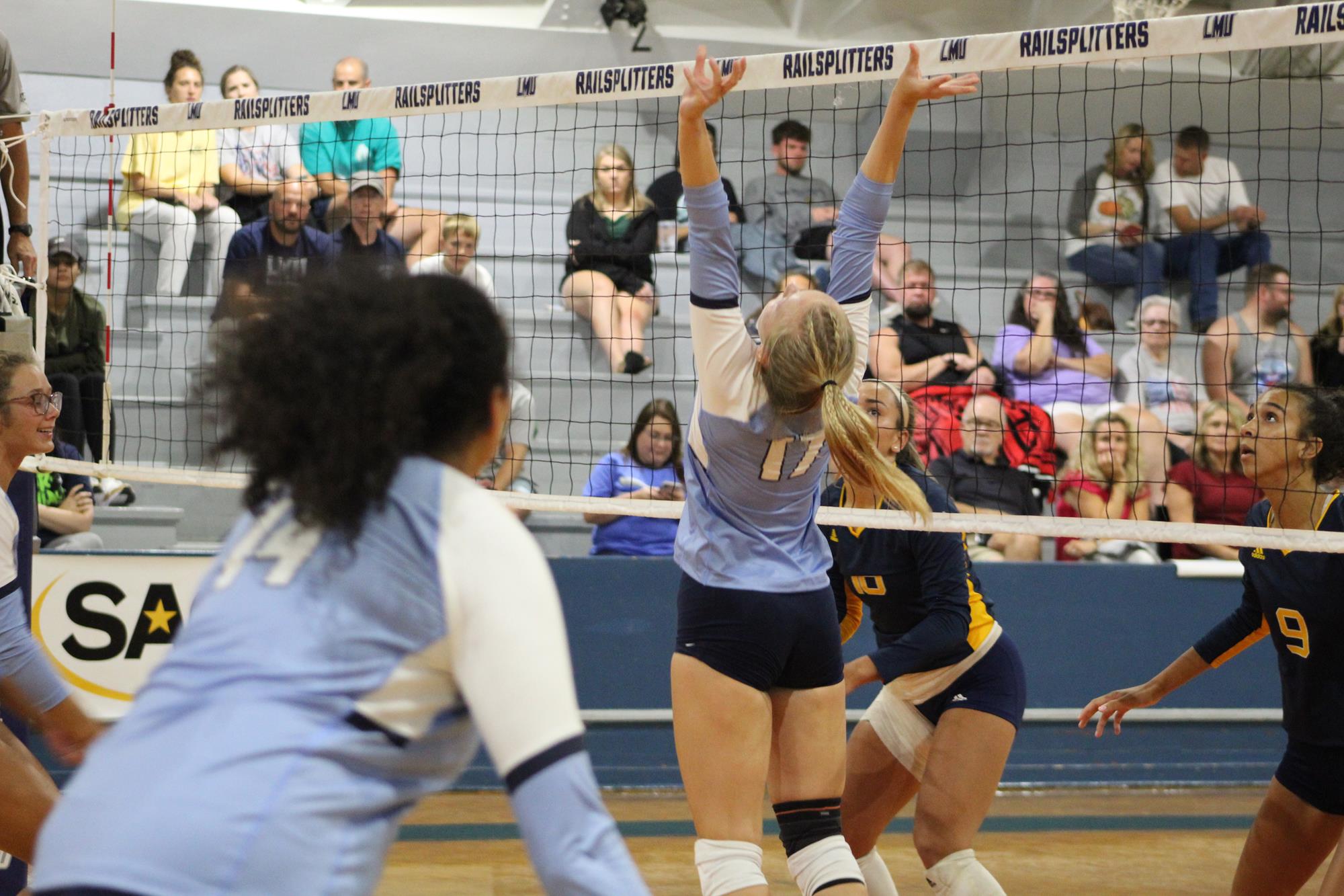 Amanda Lisi - Women's Volleyball - Lincoln Memorial University Athletics