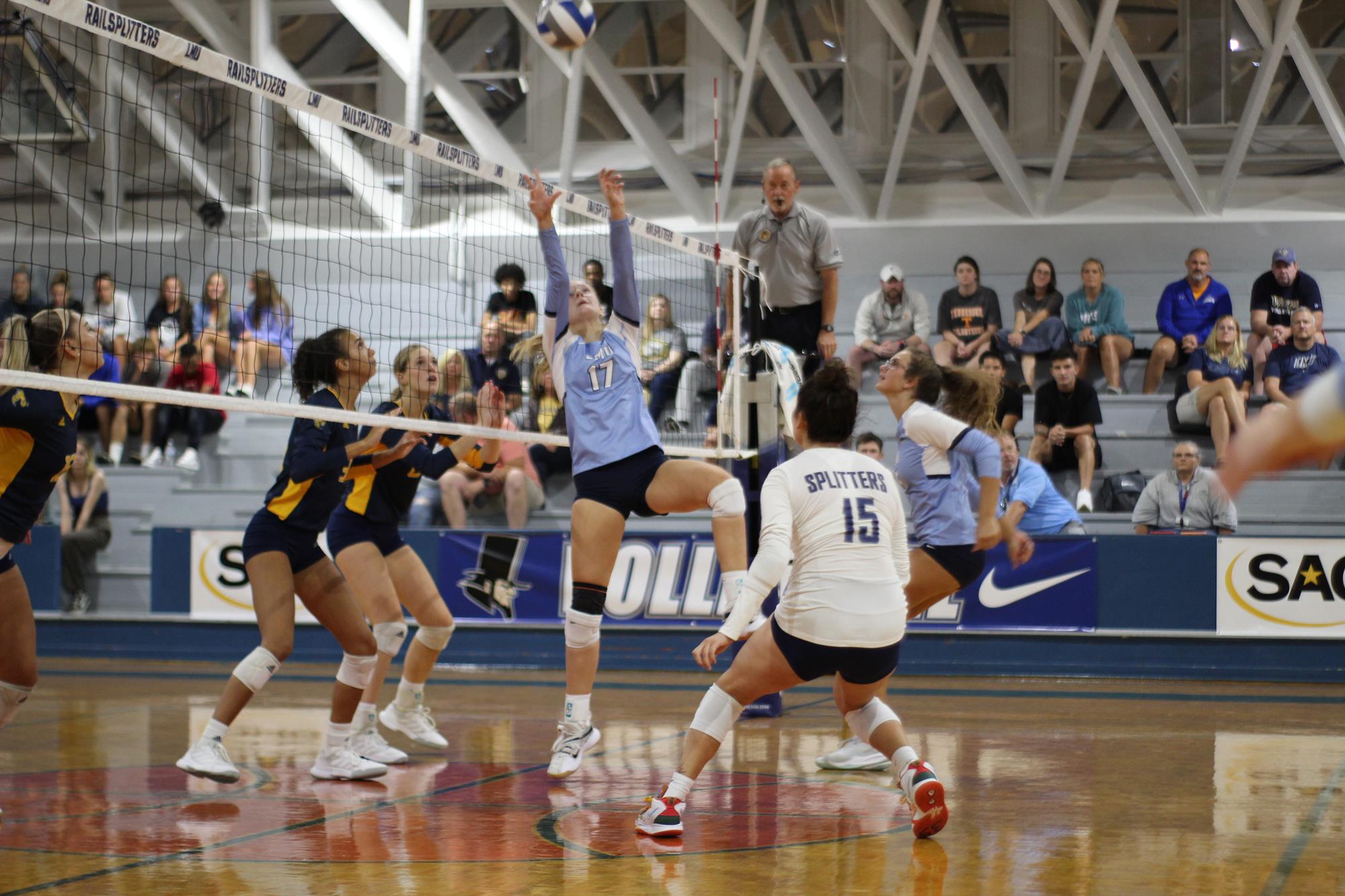 Amanda Lisi - Women's Volleyball - Lincoln Memorial University Athletics