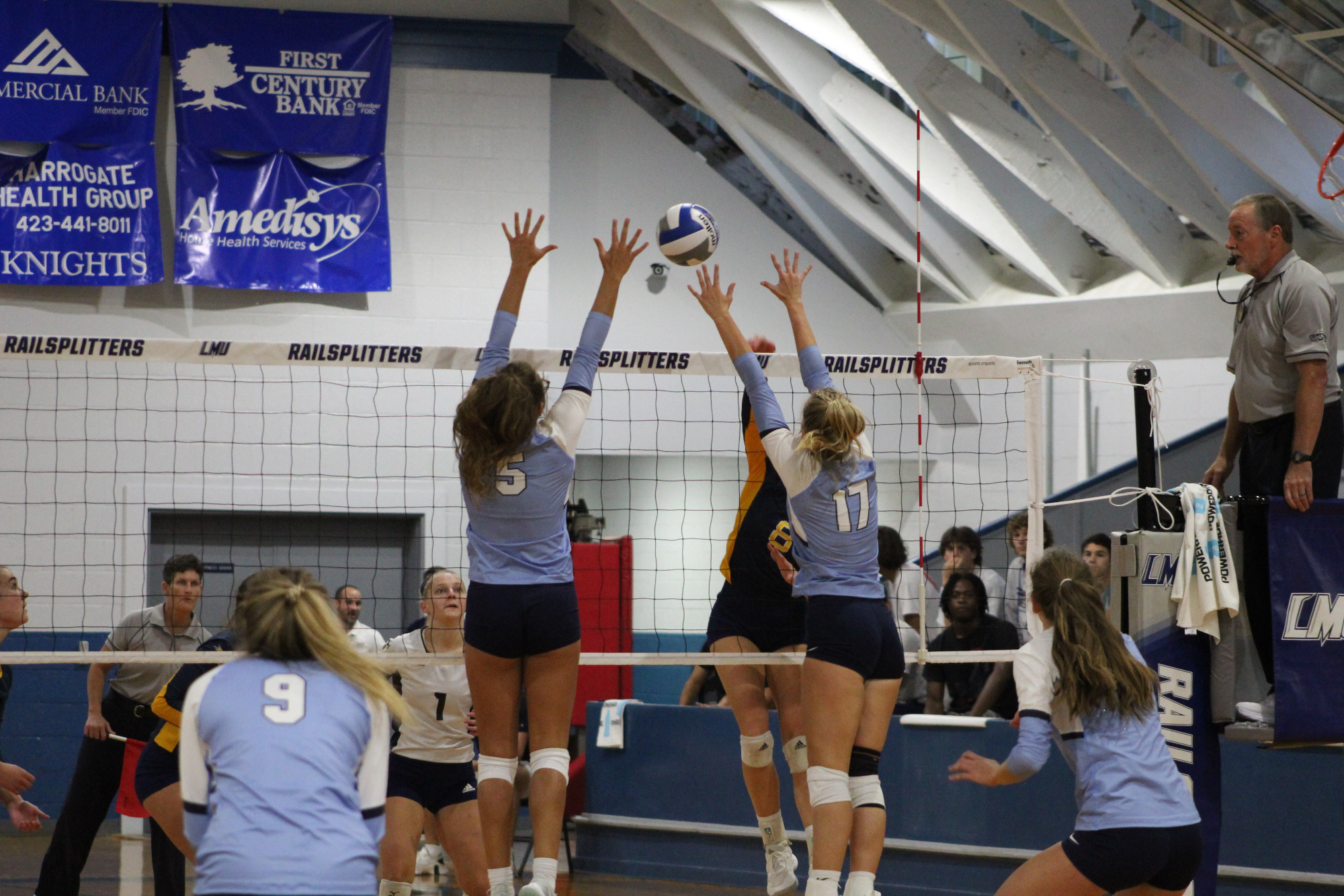 Amanda Lisi - Women's Volleyball - Lincoln Memorial University Athletics