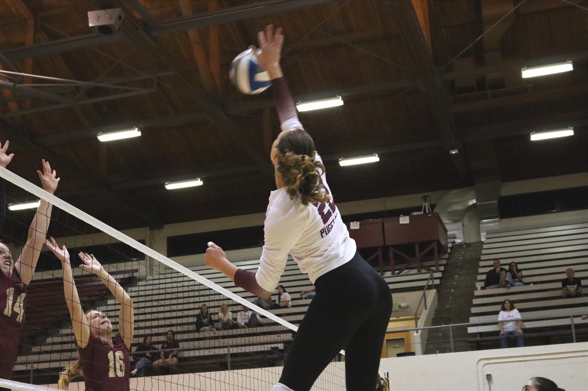 Katelyn Chekian - 2023 - Women's Volleyball - University of Puget Sound