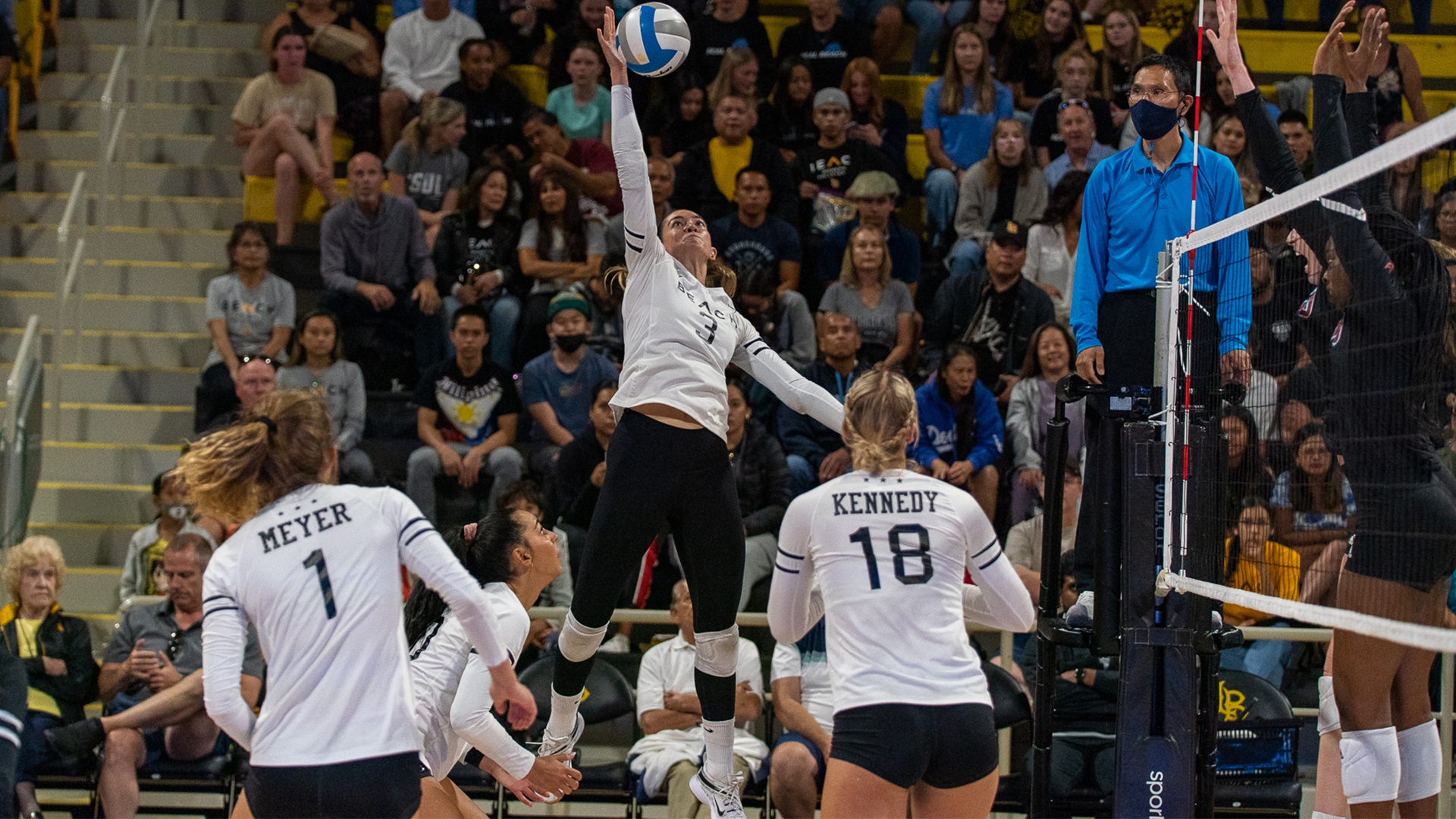 Morgan Chacon - Women's Volleyball - Long Beach State University Athletics