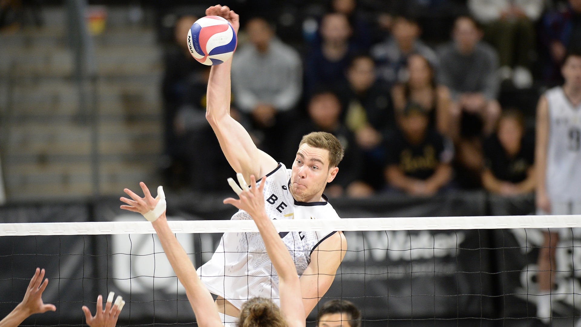 No. 3 LBSU Men’s Volleyball to Compete in East/West Coast Challenge ...