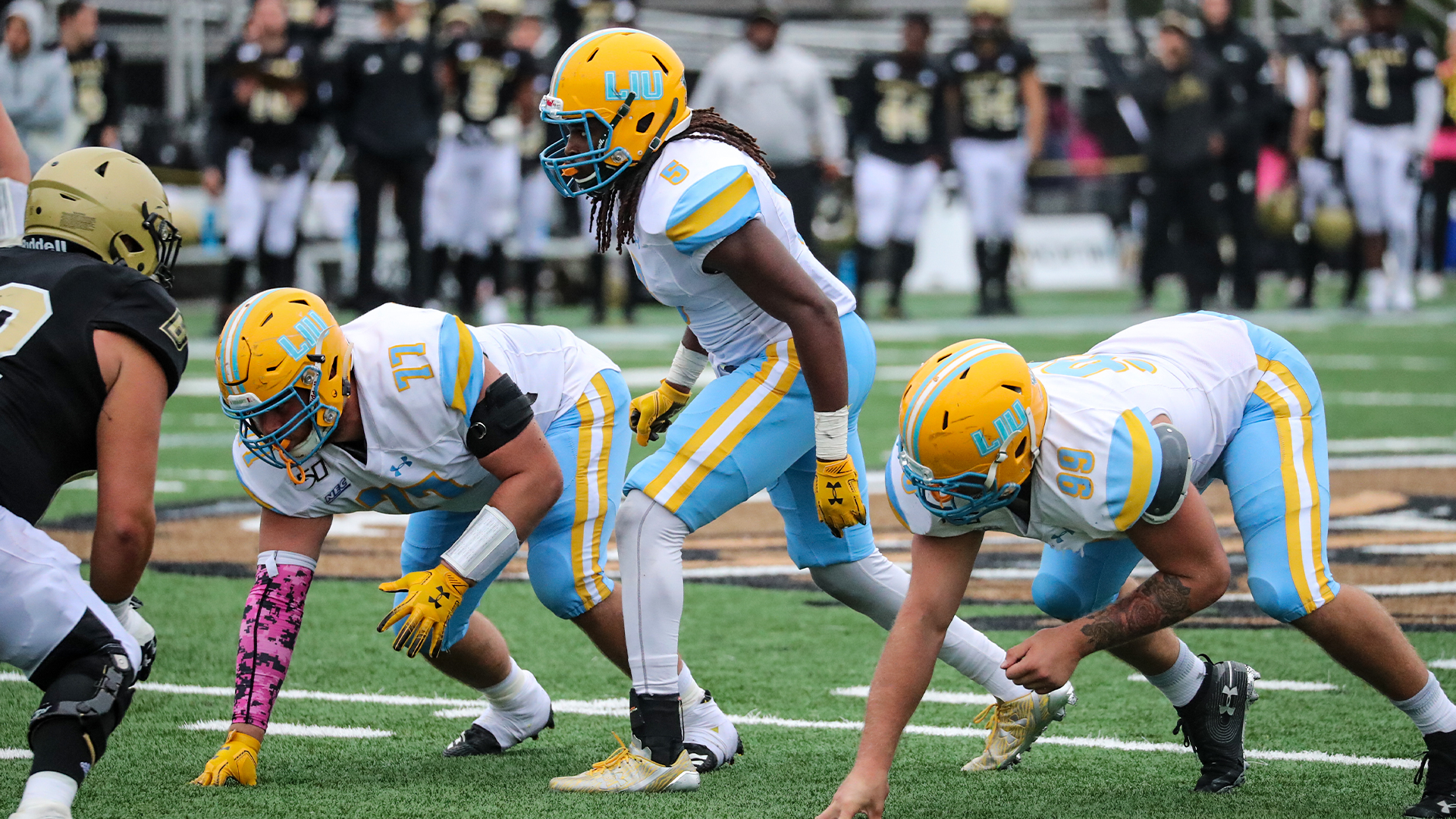 Long Island University Athletics