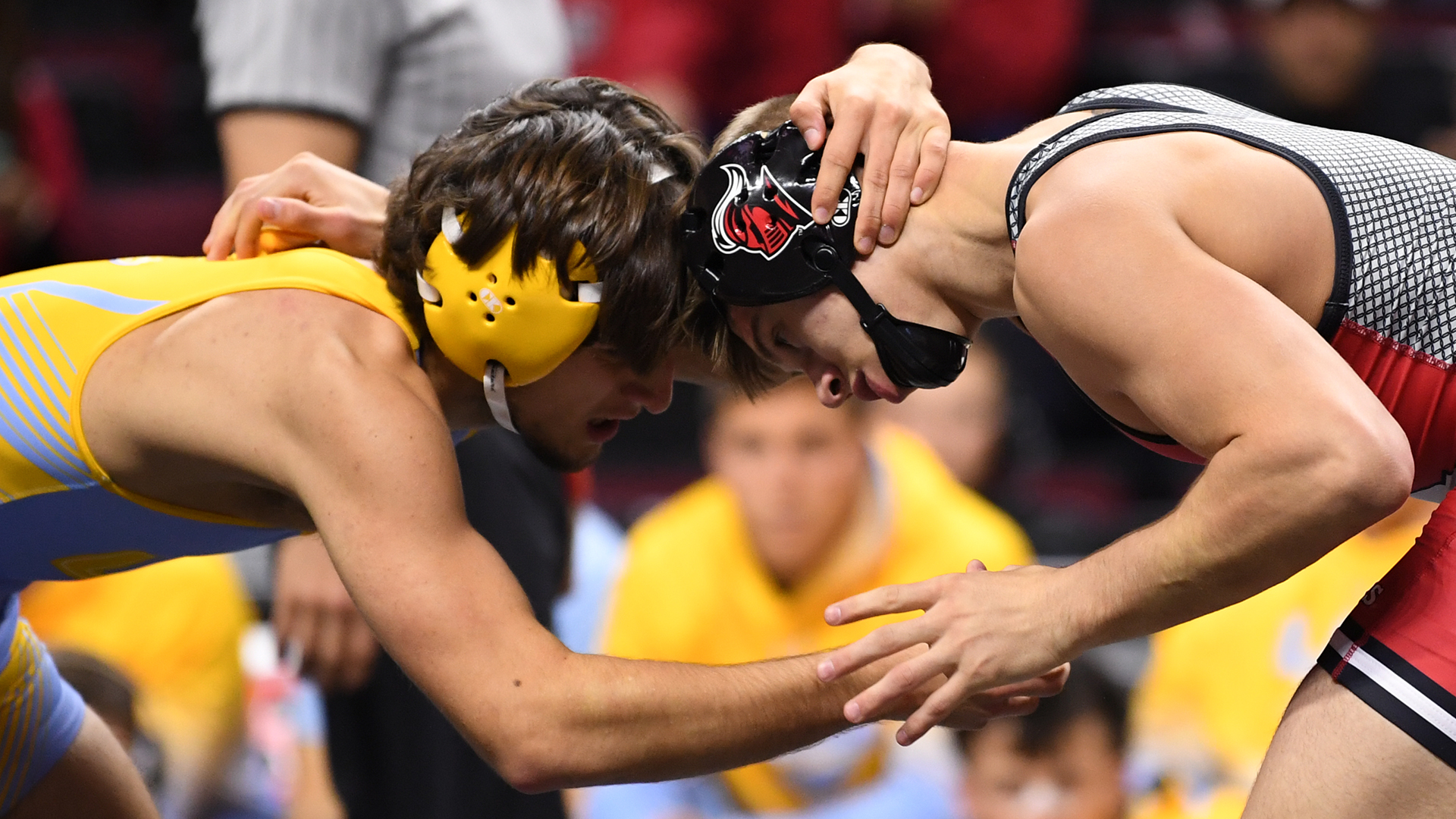 Long Island University Athletics