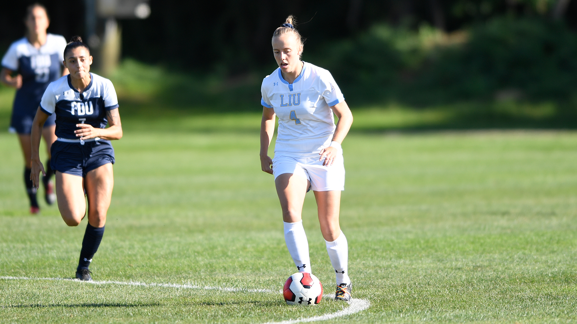 Long Island University Athletics Long Island University Athletics