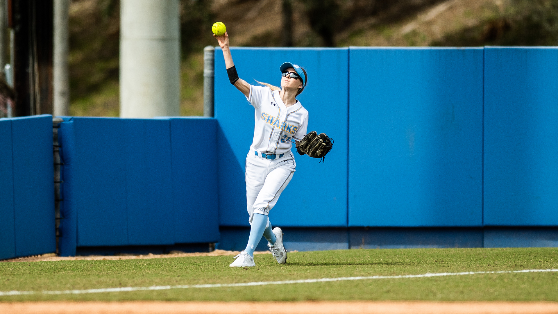 Long Island University Athletics