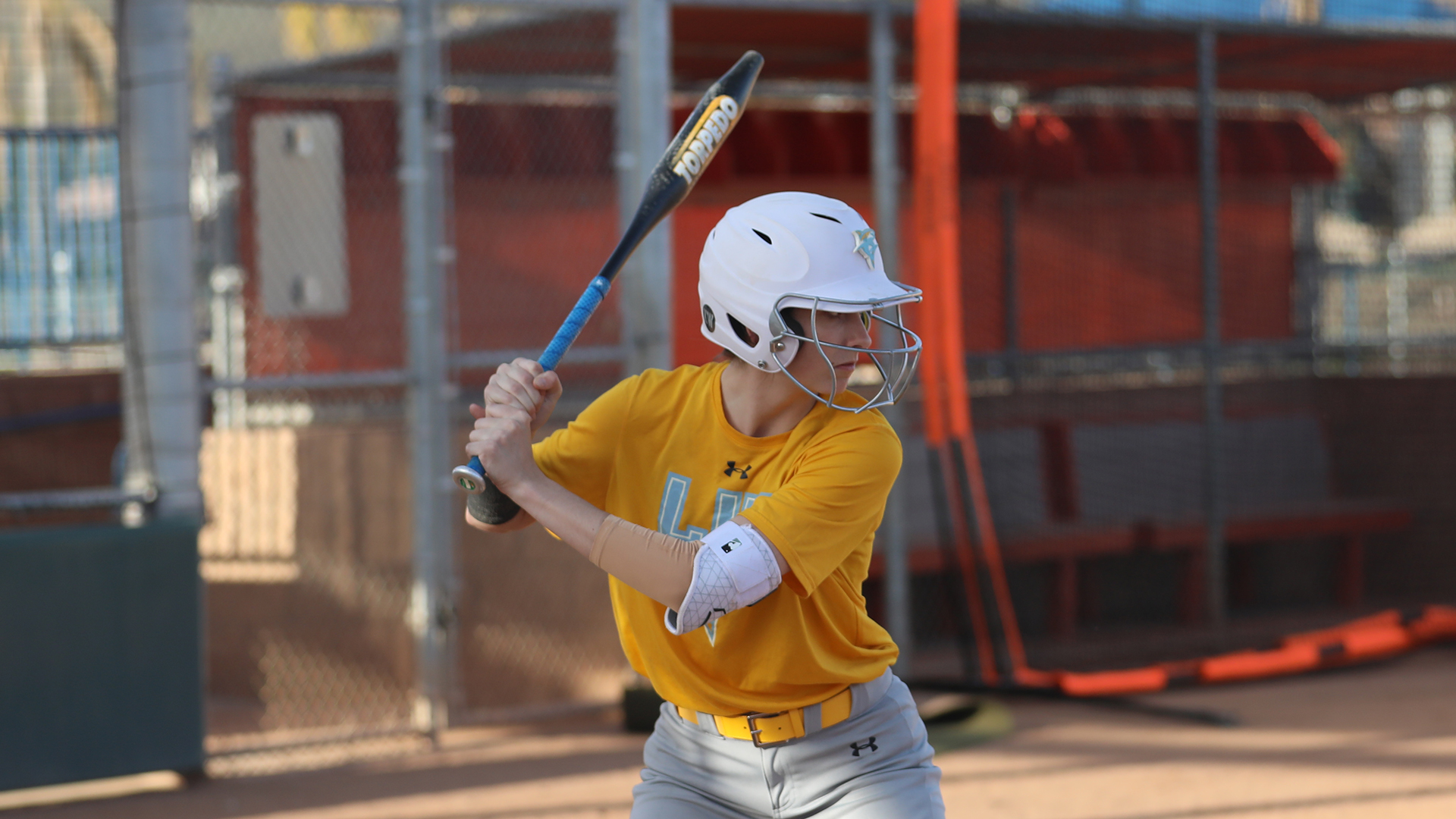 Long Island University Athletics