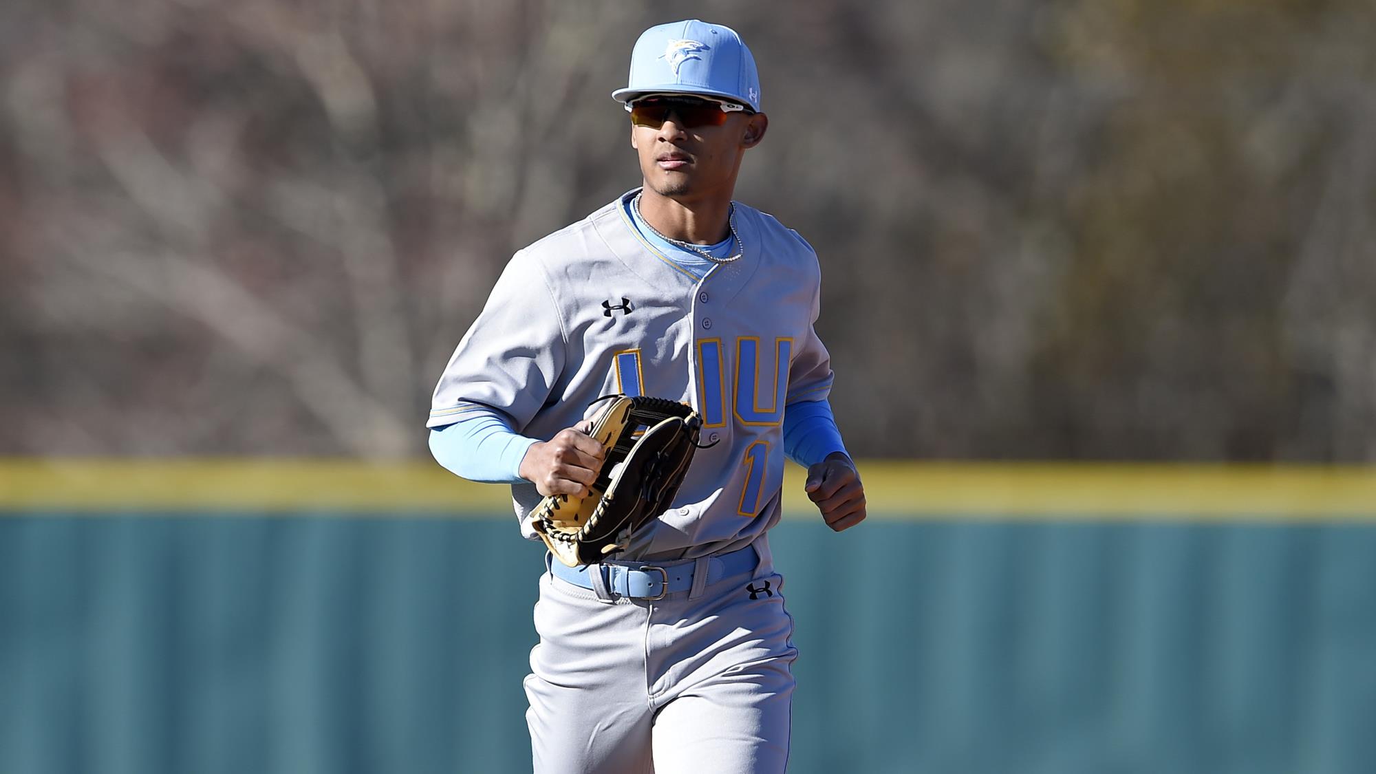 Long Island University Athletics