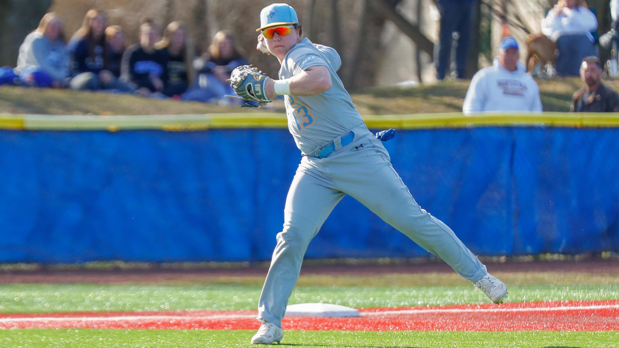 Long Island University Athletics